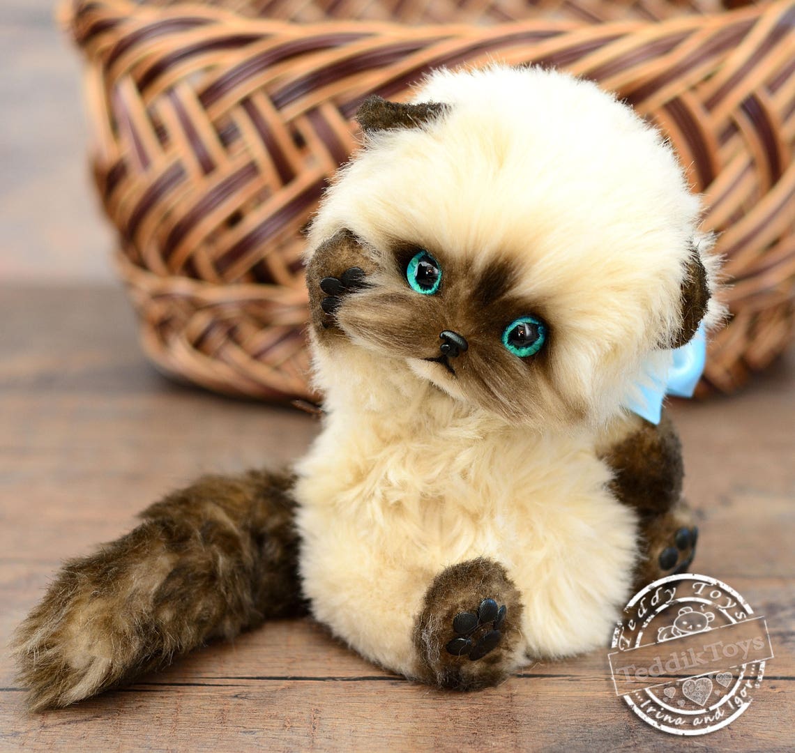 Kitten made to Order Cat Cat Teddy Teddy Kitten | Etsy