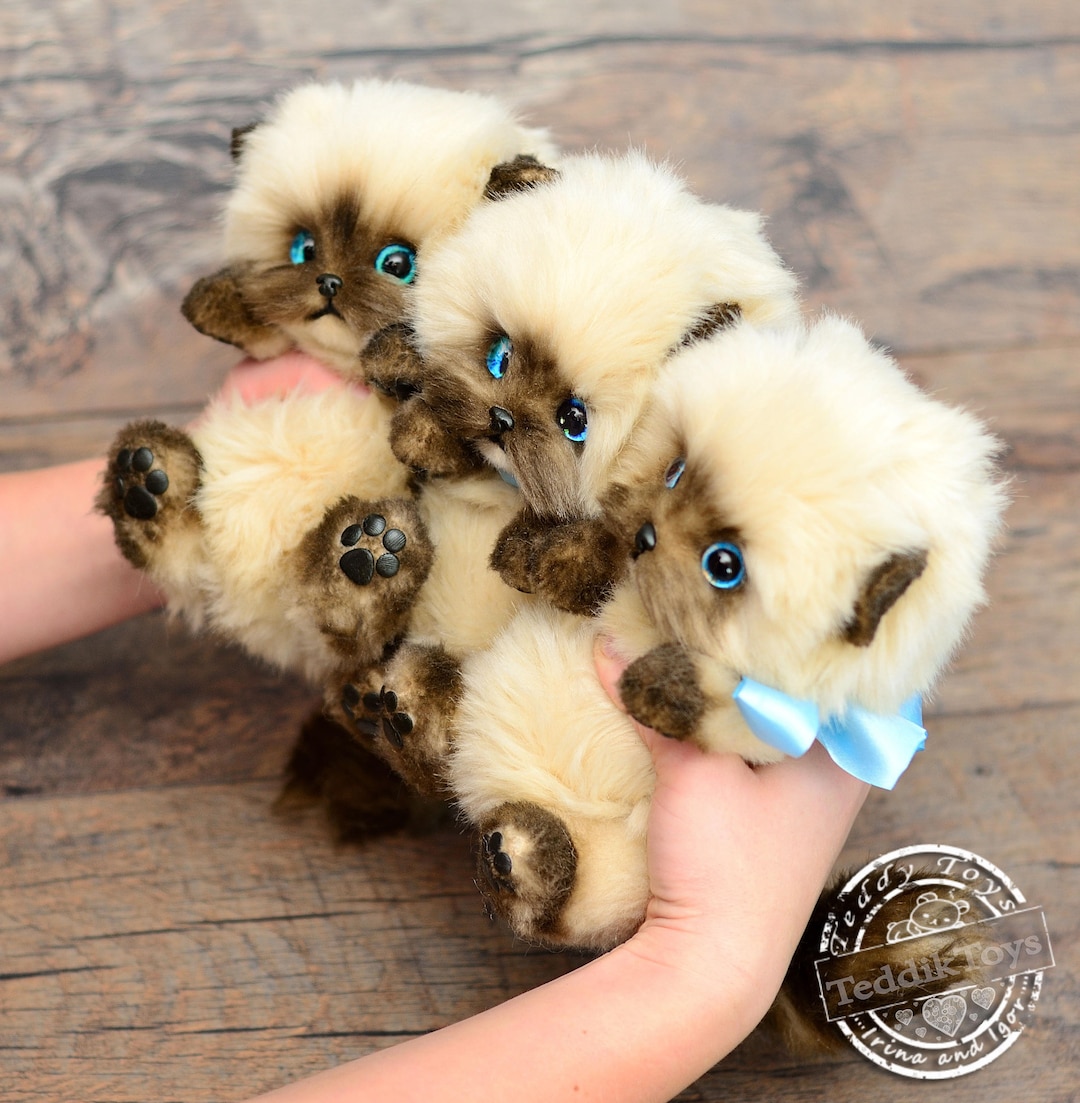 Handmade Plush Kitten Teddy: German Plush, Glass Eyes (made to Order ...