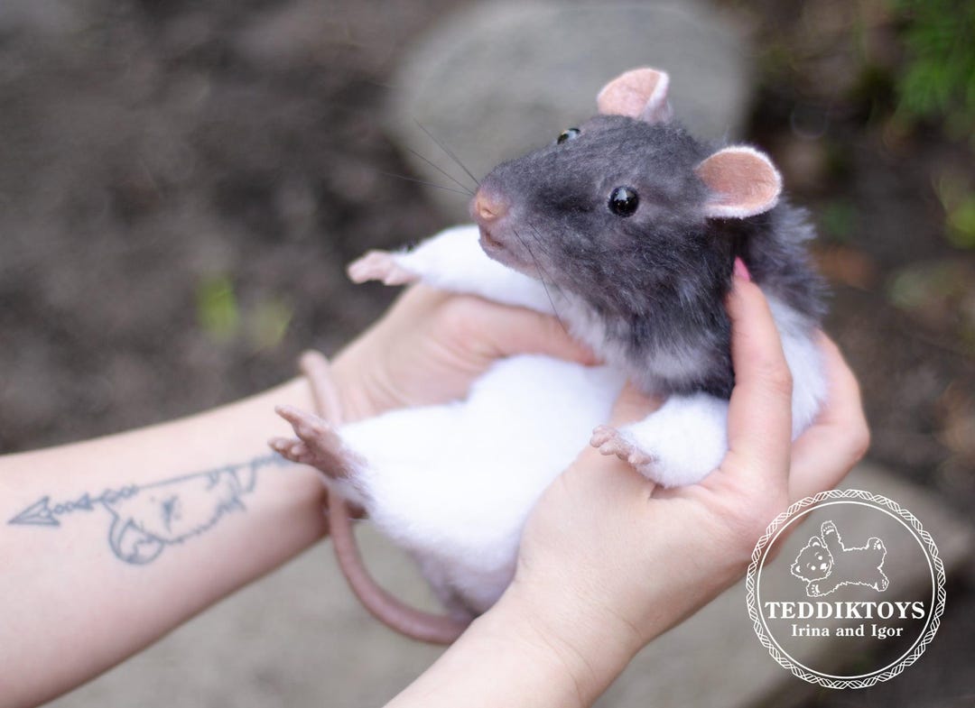 Realistic Handmade Plush Rats - Custom Stuffed Animal With Silicone ...