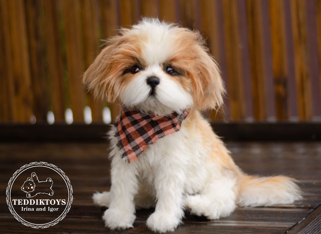 Handmade Shih Tzu Puppy Plush: Realistic Collectible Teddy Dog (made to ...