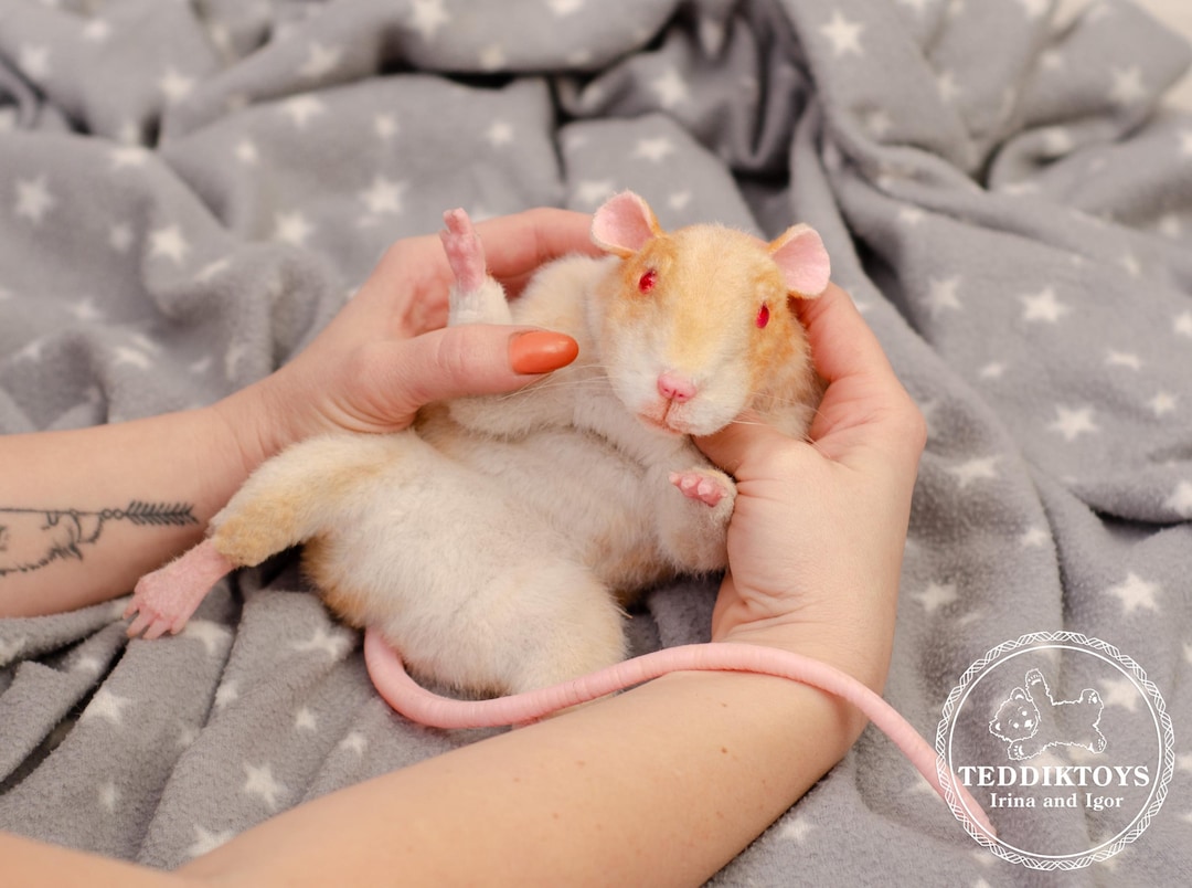 Handmade Realistic Plush Rat – Custom Soft Toy With Silicone Details - Etsy