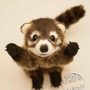 Coati ,(is Possible Repeat to Order) Teddy, Author's Work, Toy - Etsy