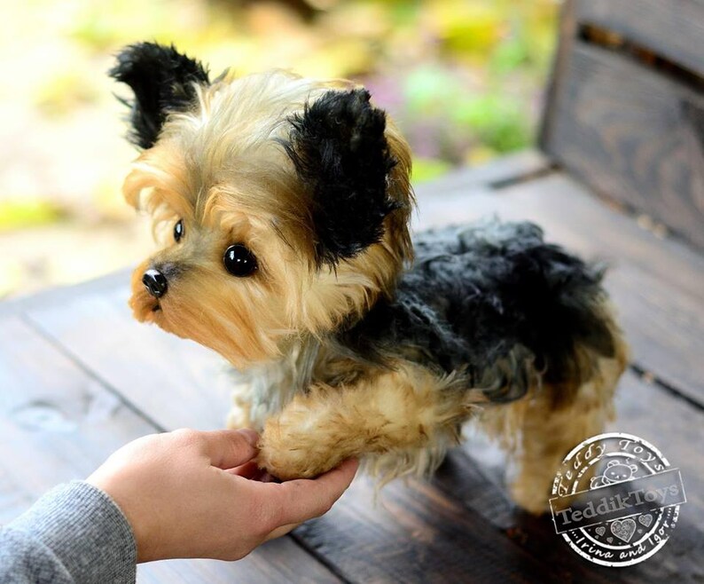 Puppy York Jemmy (make to Order) Portrait Pet , Handmade Animal by ...