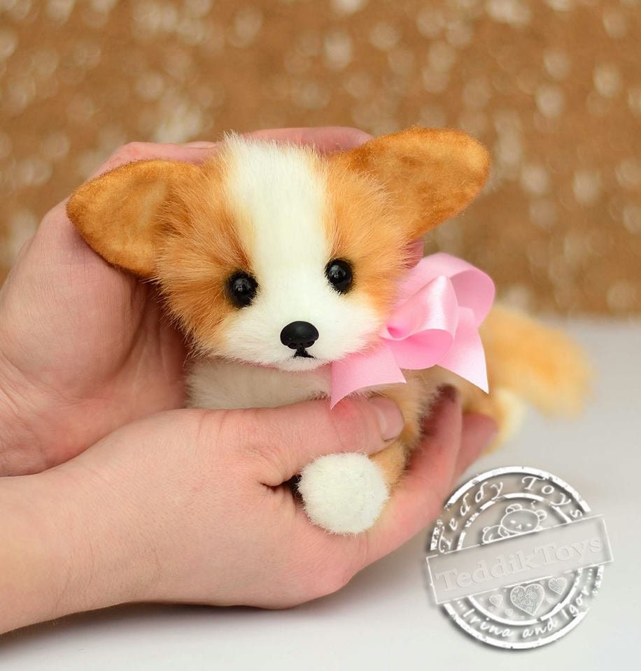 Welsh Corgi made to Order Dog Plush Toy Puppy Plush Dog | Etsy