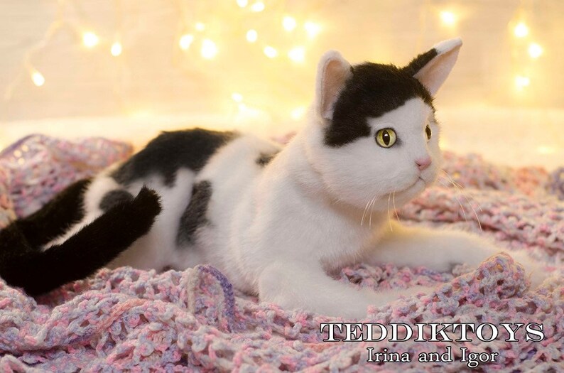 Individual Order According to Customers Photo Cat | Etsy