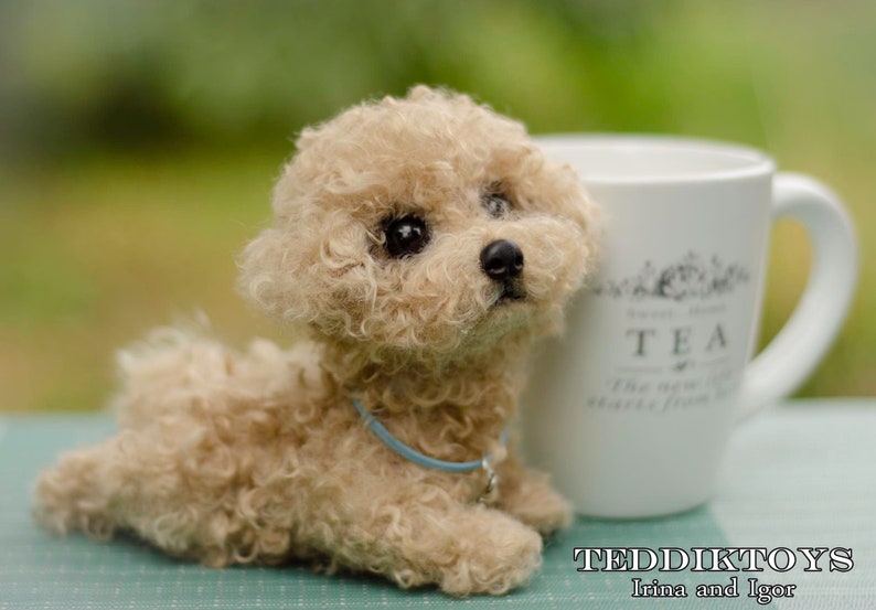 Puppy Handmade Tea Cup Poodle Micro Poodle Toy Puppy Mini - Etsy