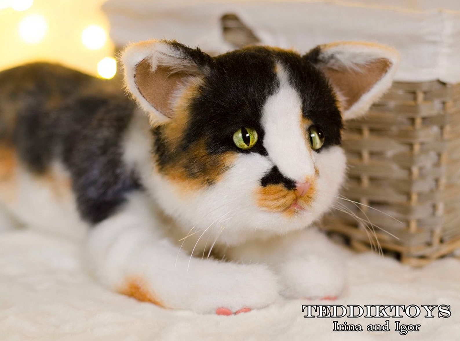 Individual Order According to Customers Photo Cat - Etsy