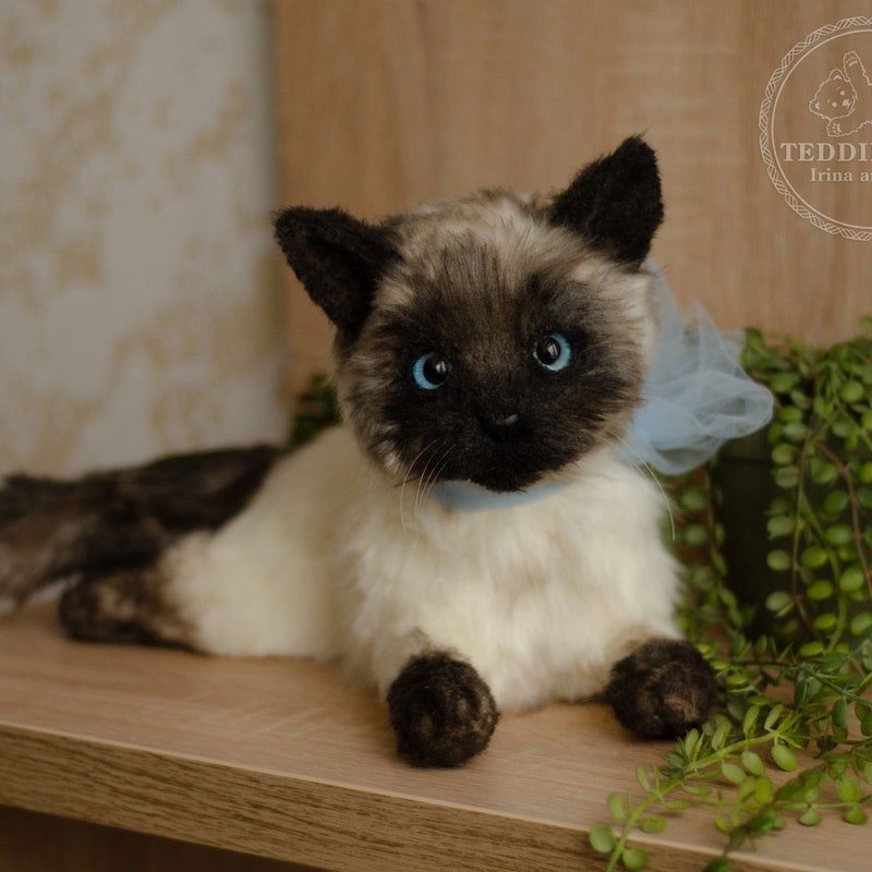 Realistic Cat Soft Toy - Etsy