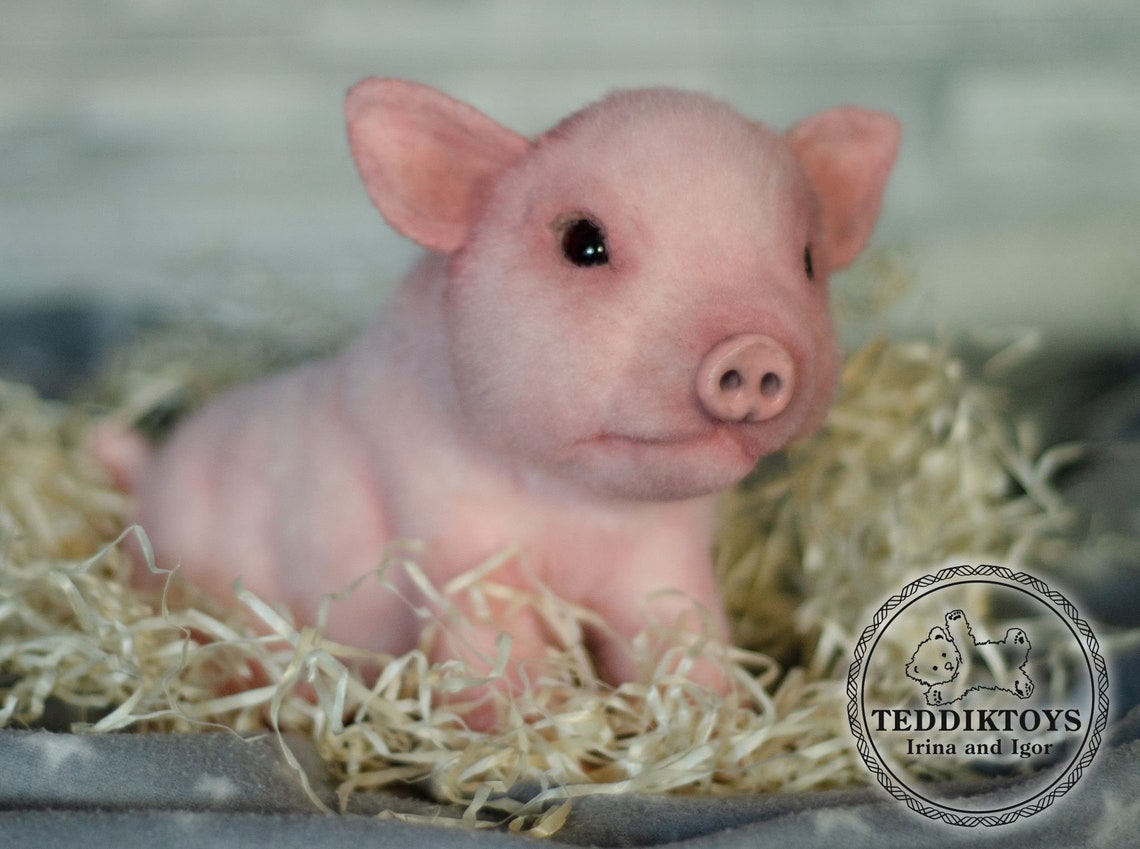 Handmade Pig Toy Pig Custom Order - Etsy