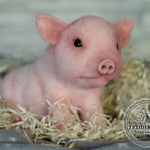 Handmade Pig , Toy Pig, Custom Order - Etsy