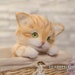 Kitten Mika made to Order Plushed Toy Stuffed Toy - Etsy
