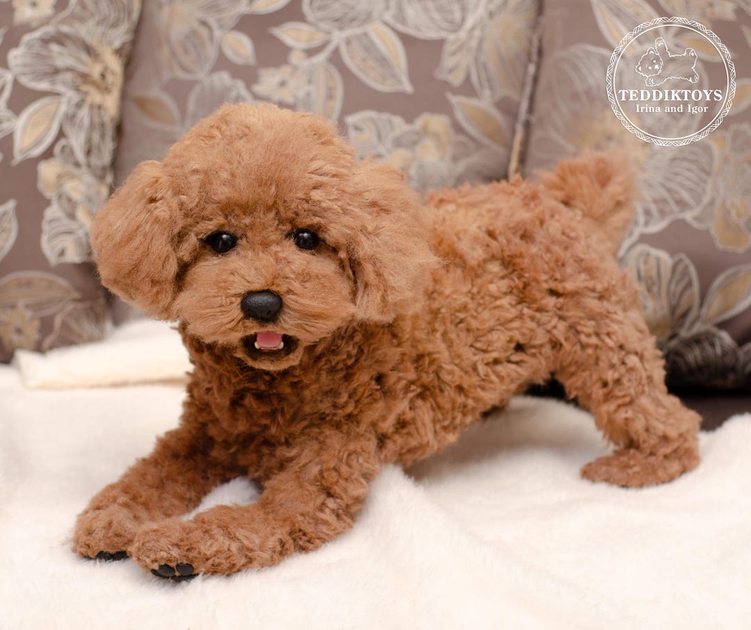 Realistic Poodle Plush: Handmade Posable Dog With Movable Jaw (50cm) - Etsy