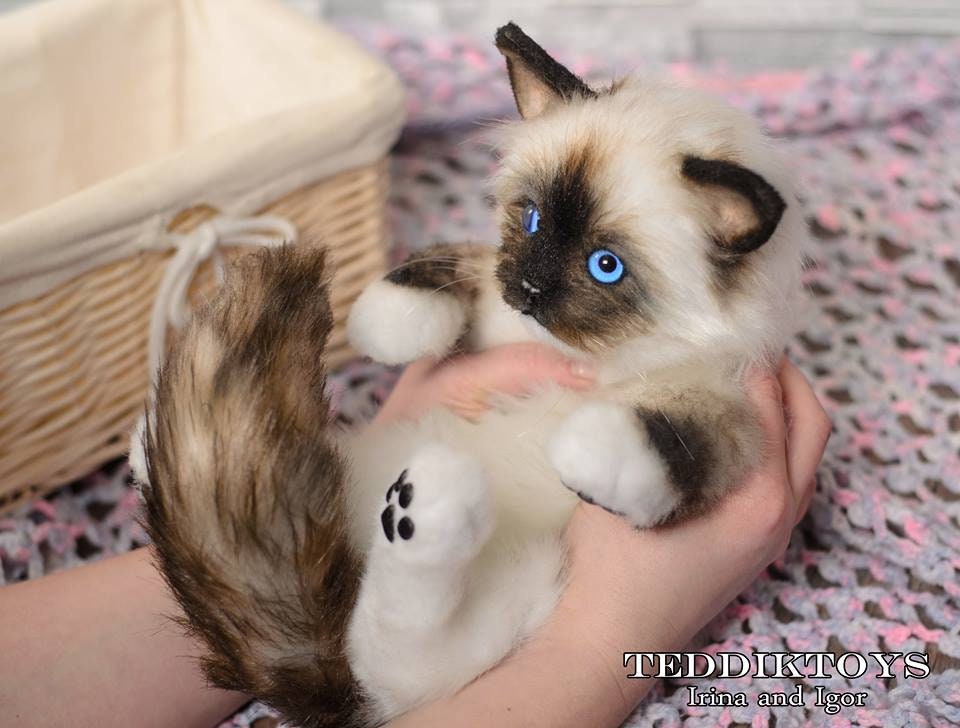 Custom. Realistic Toy Cat. Collectible Animal. | Etsy UK