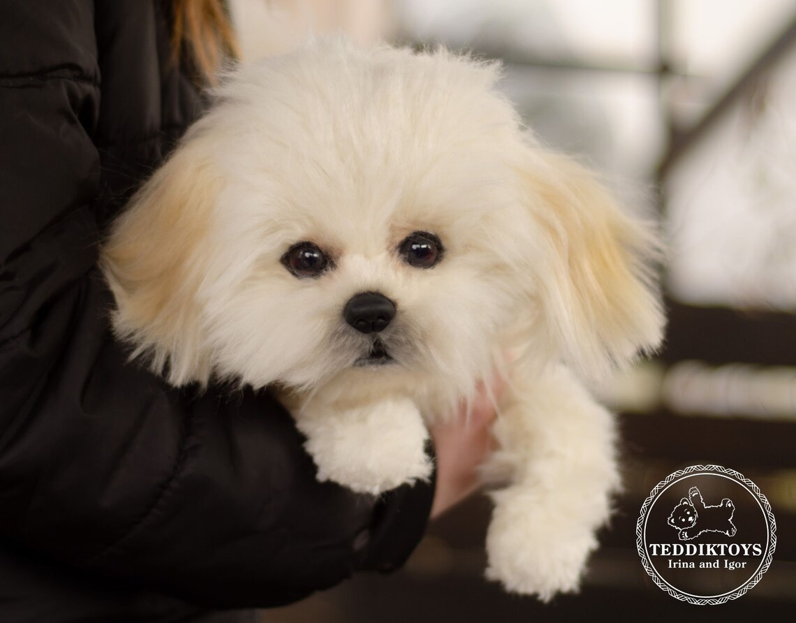 Realistic Shih Tzu Teddy Dog Plush Toy - Handmade Portrait Artisan ...