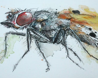 House Fly Art Print Wall Decor Watercolor Painting - Etsy