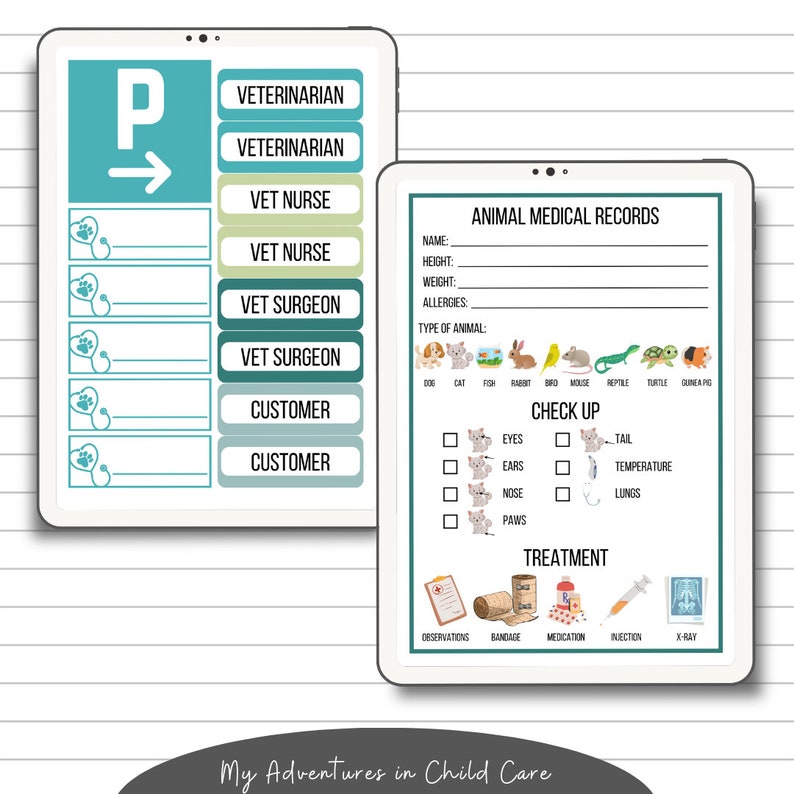 Dramatic / Role Play Vet Clinic - Etsy