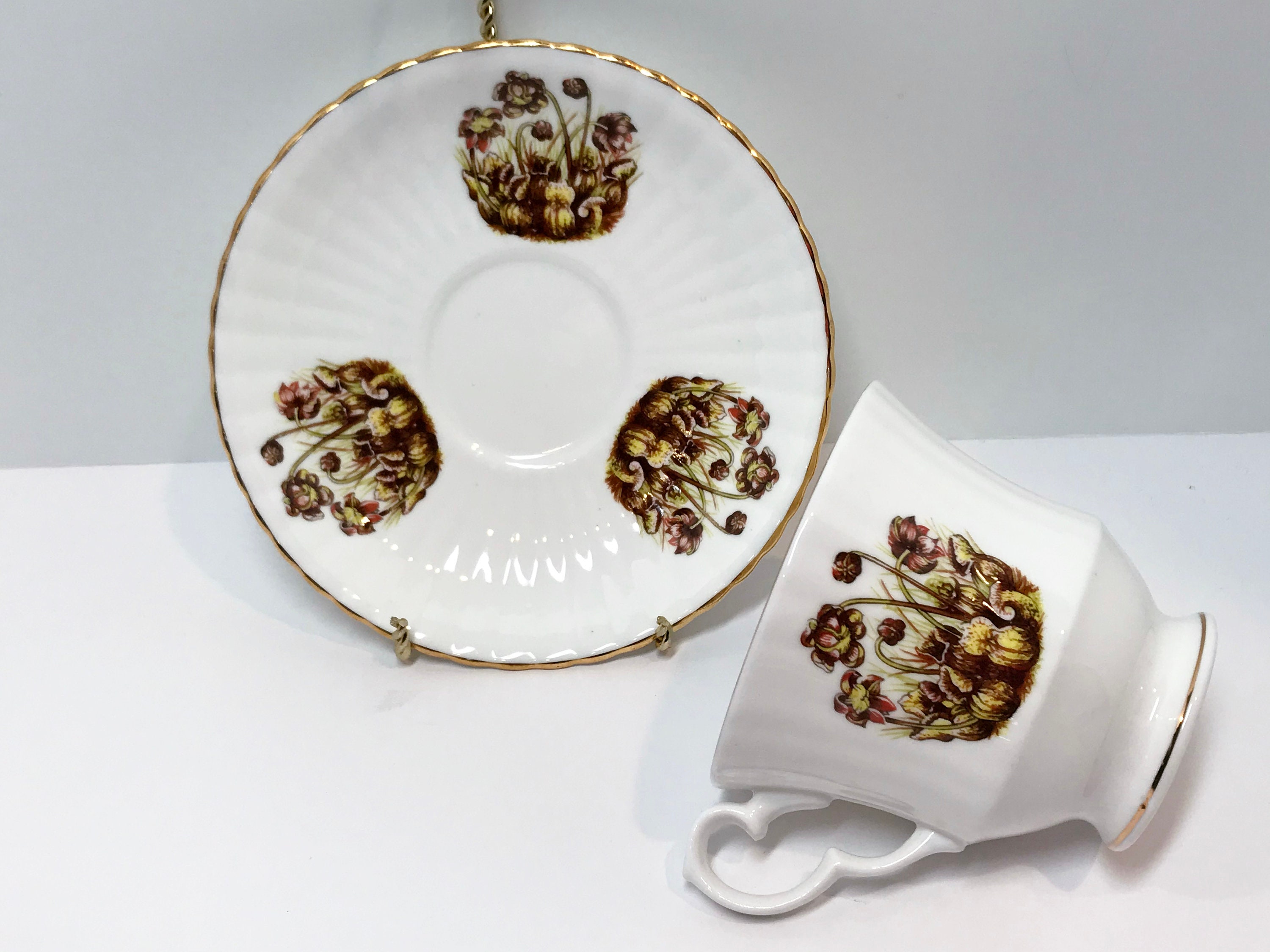 Venus Flytrap Teacup, Pitcher Plant Teacup, Newfoundland Flower ...