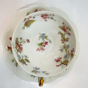 Haviland and Company Limoges Teacup and Saucer, Theodore Haviland ...