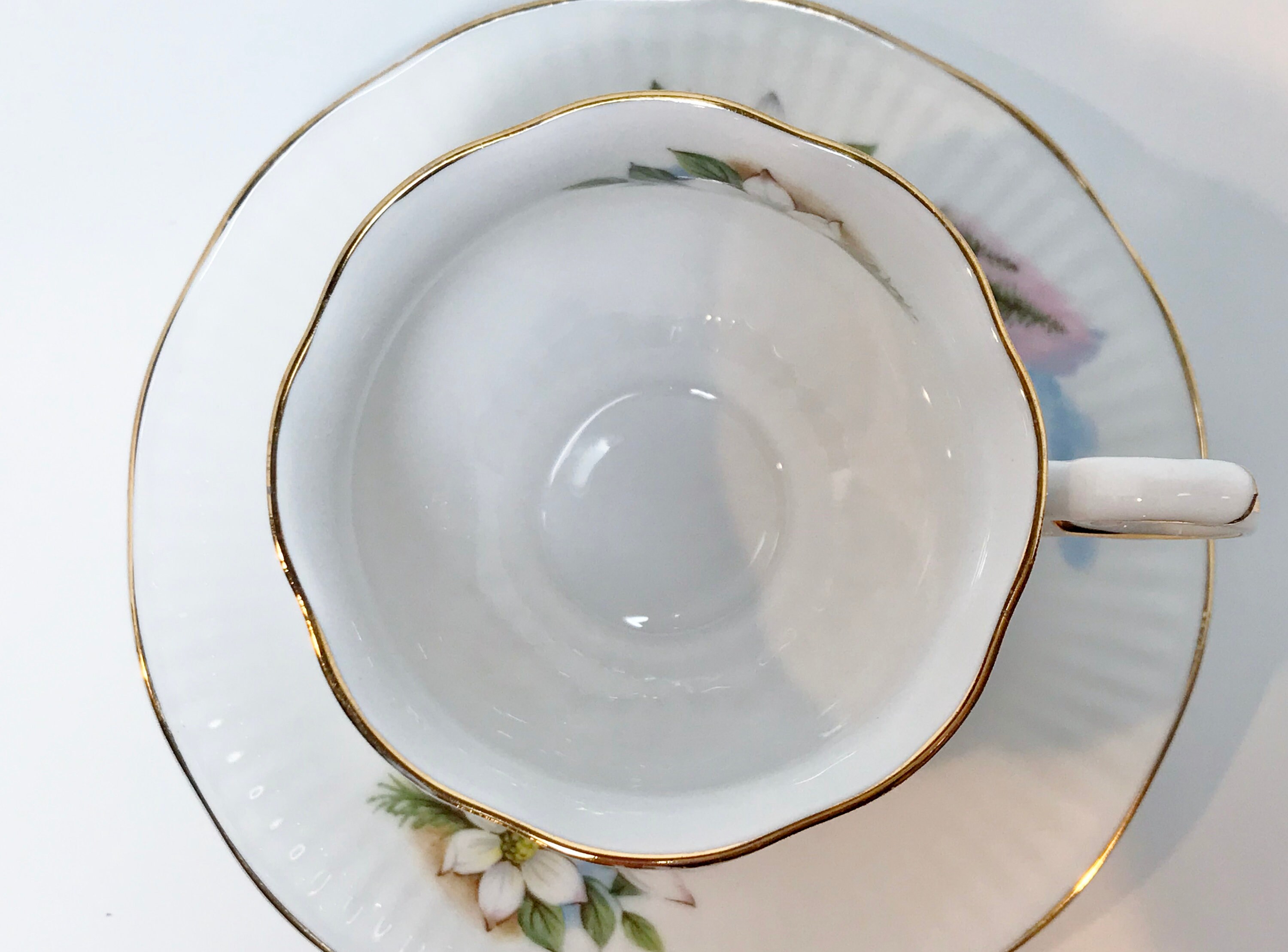 Reserved for L, British Columbia Tea Cup and Saucer, Canoe Tea Cup ...