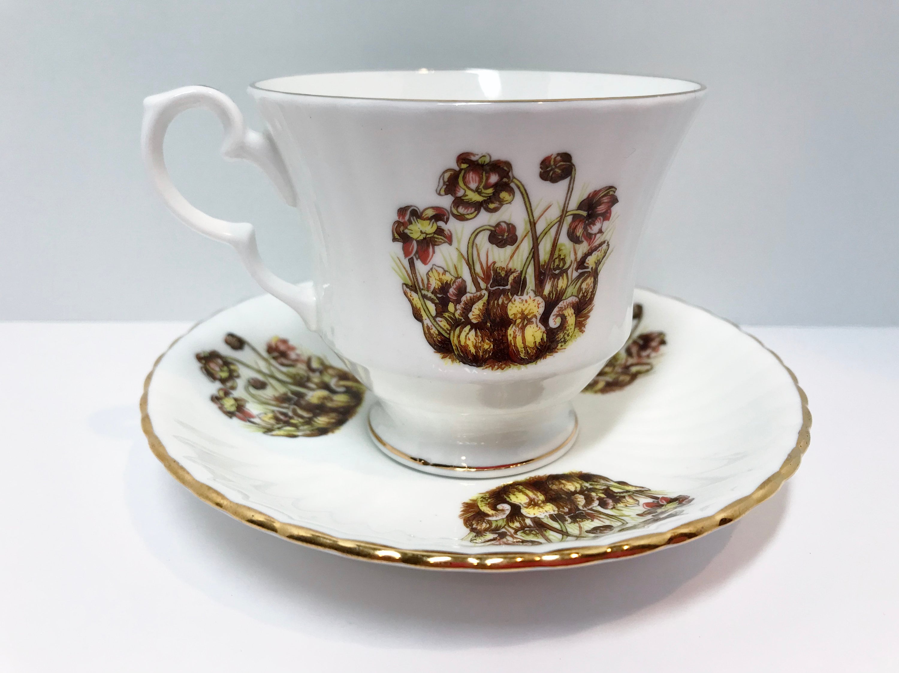 Venus Flytrap Teacup, Pitcher Plant Teacup, Newfoundland Flower ...