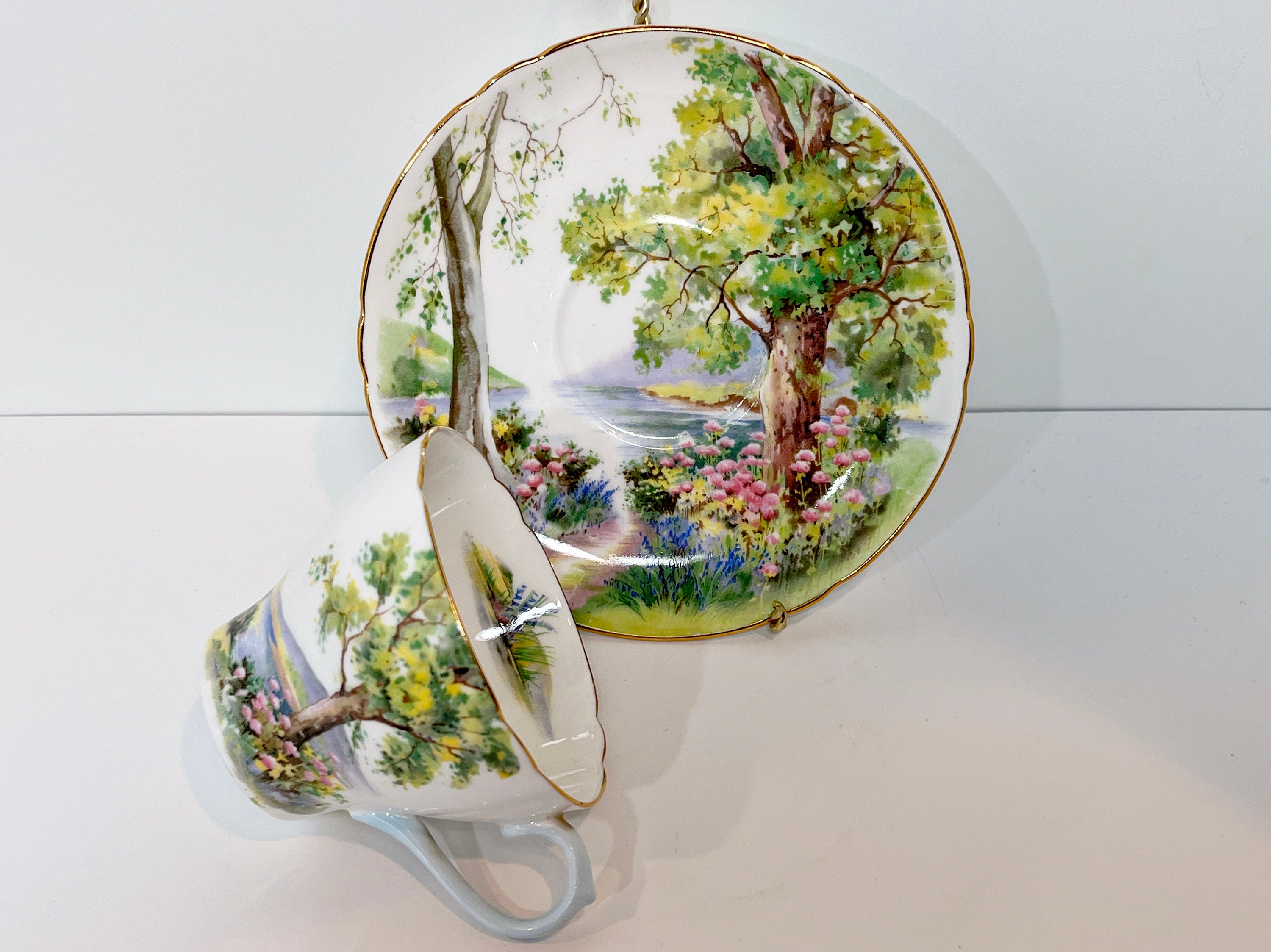Shelley Woodland, Shelley Teacups, Shelley China, Shelley Bone China ...