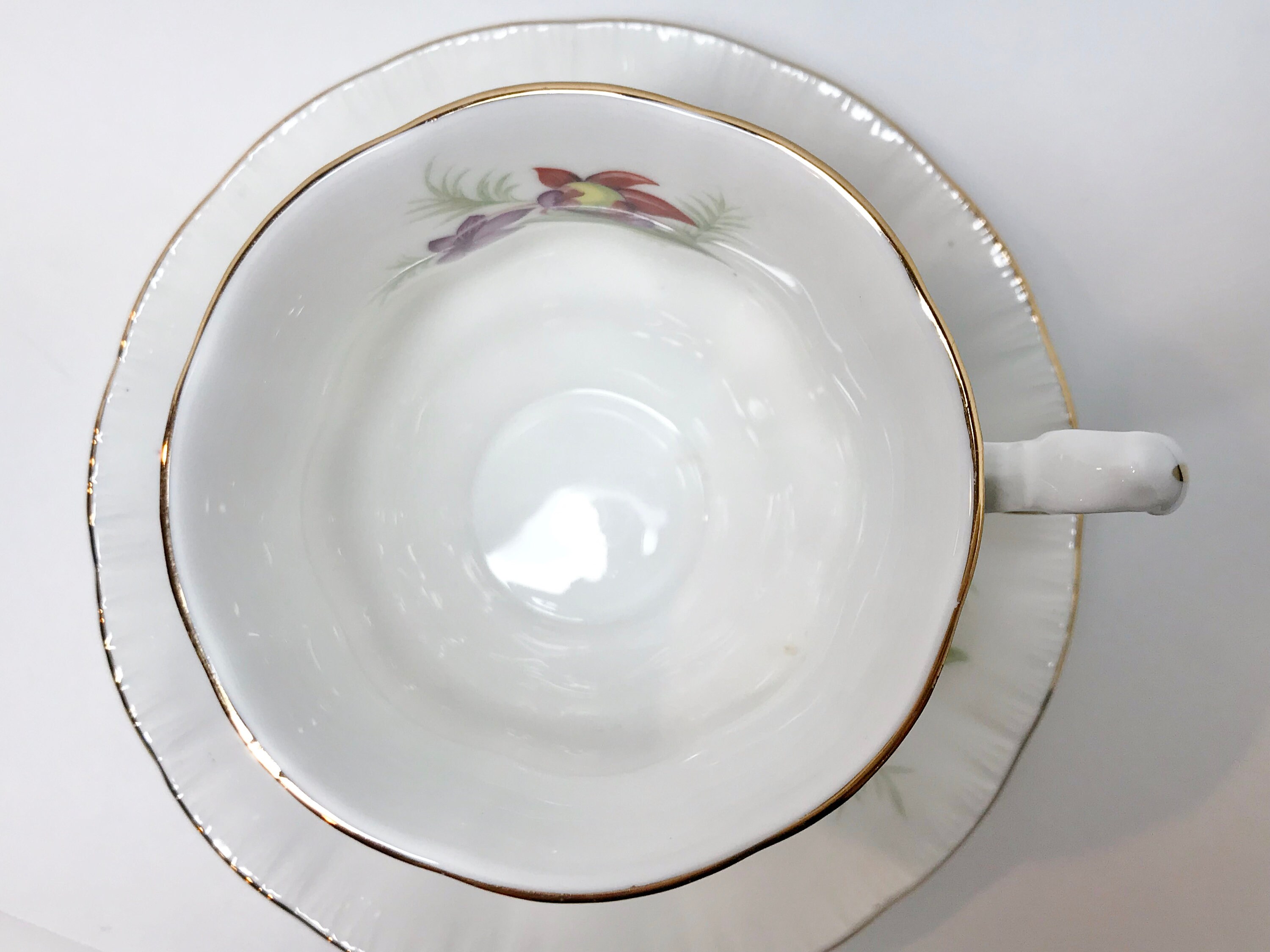 Pitcher Plant Teacup, Newfoundland Flower, Paragon Tea Cups, Canadian ...