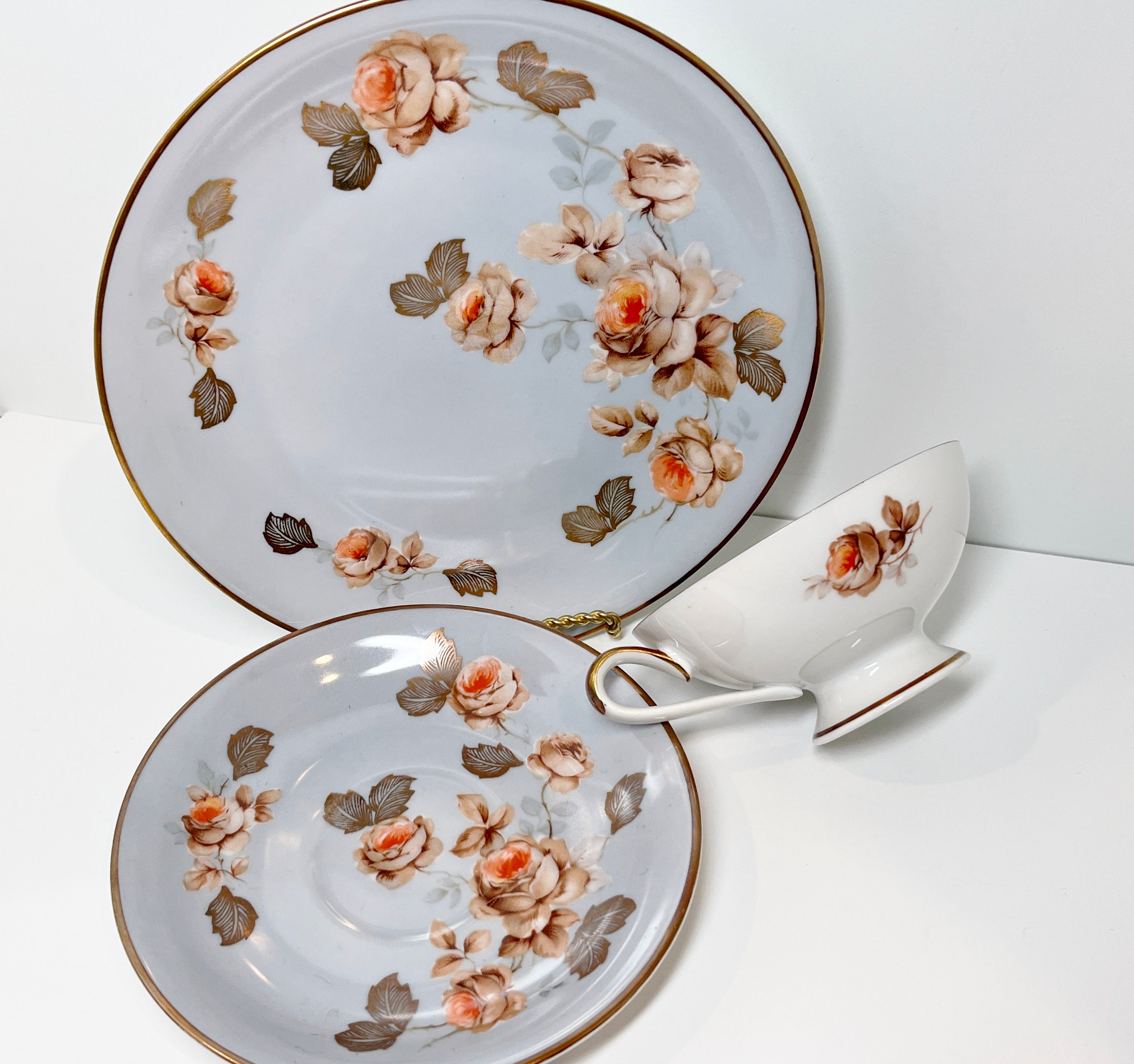 Stellar RWK Teacup and Saucer , Bavarian Tea Cup , Rudolf Wachter ...