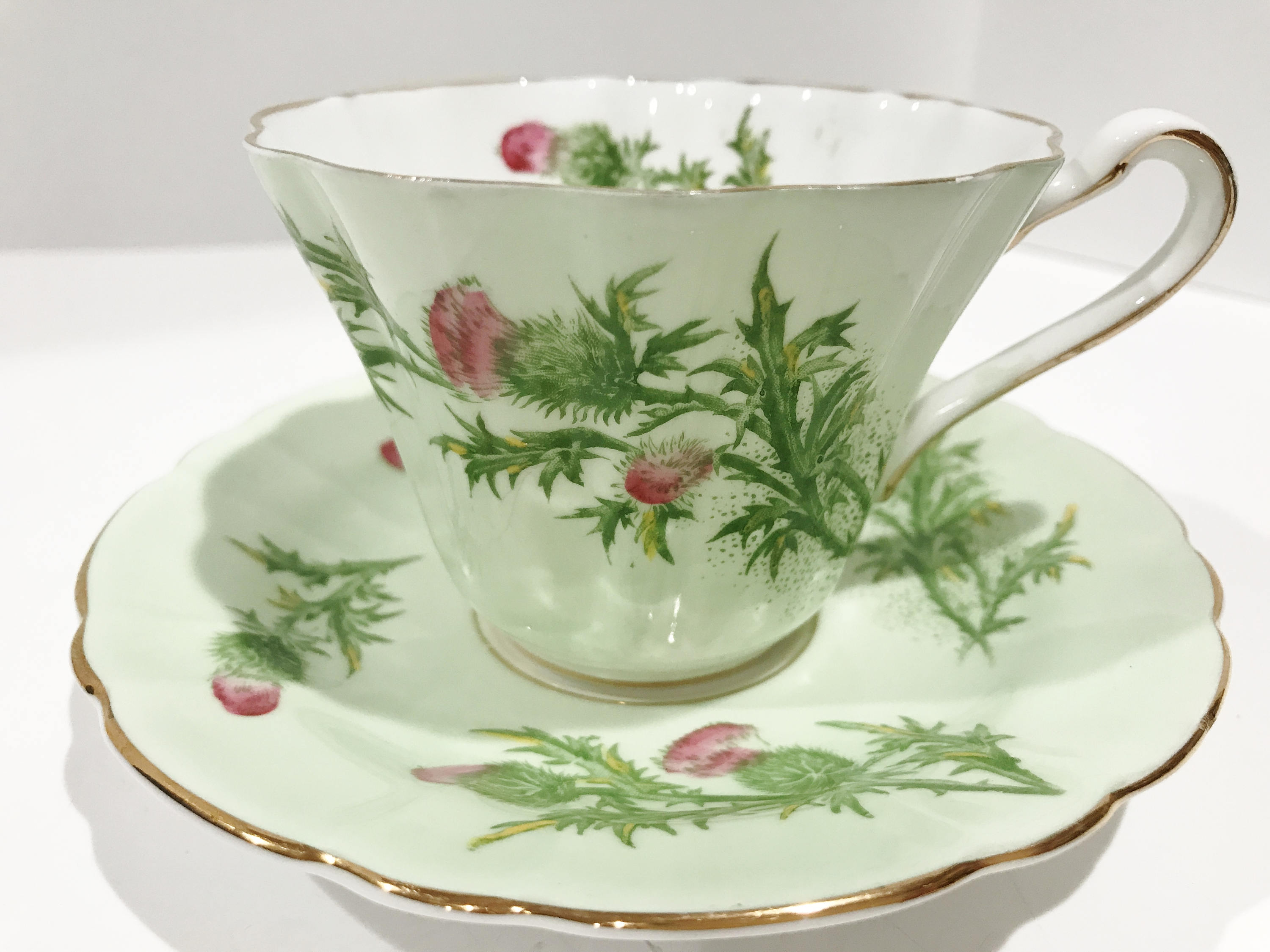 Scotch Thistle by Royal Stafford Tea Cup and Saucer, English Bone China ...