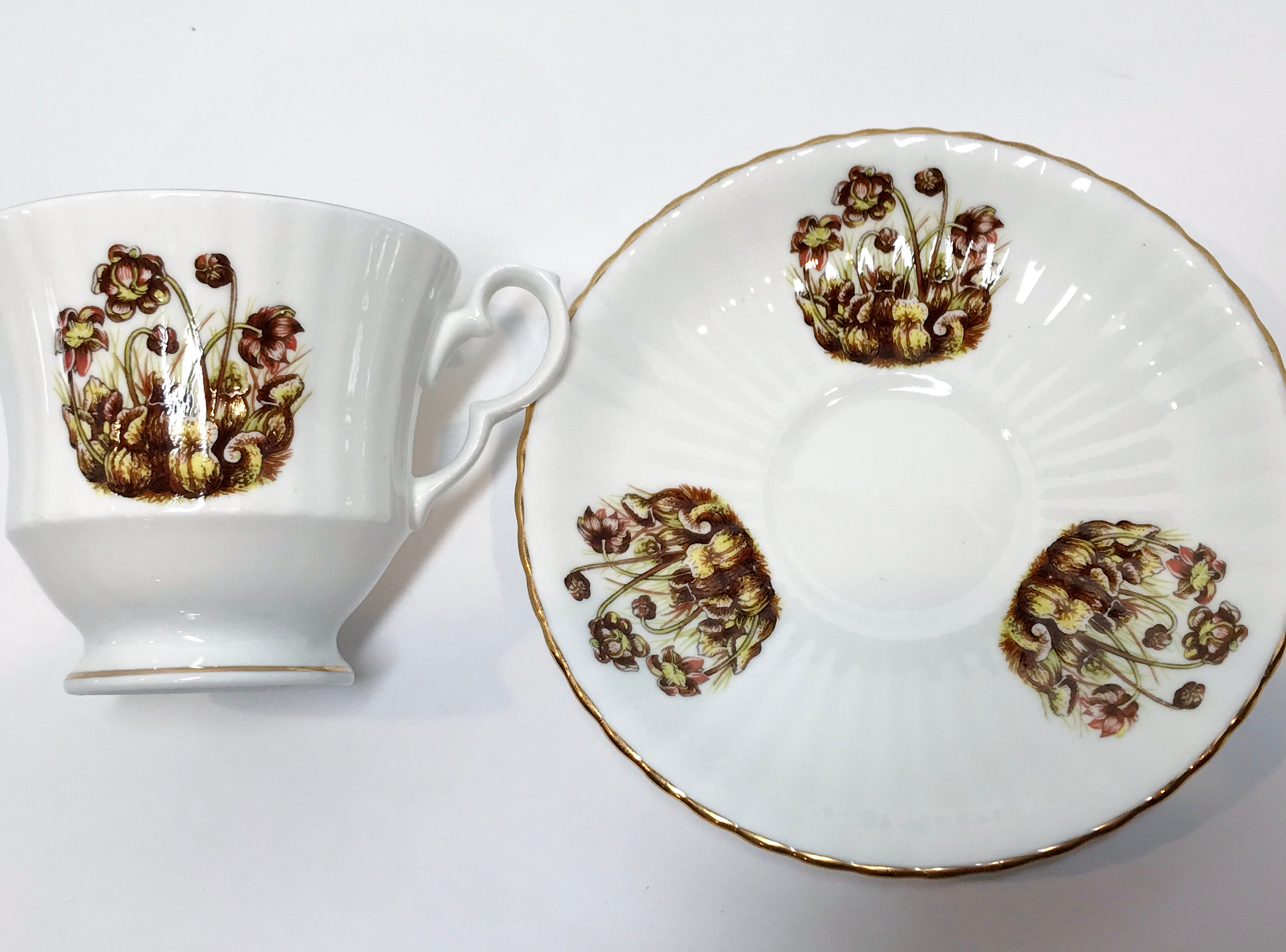 Venus Flytrap Teacup, Pitcher Plant Teacup, Newfoundland Flower ...