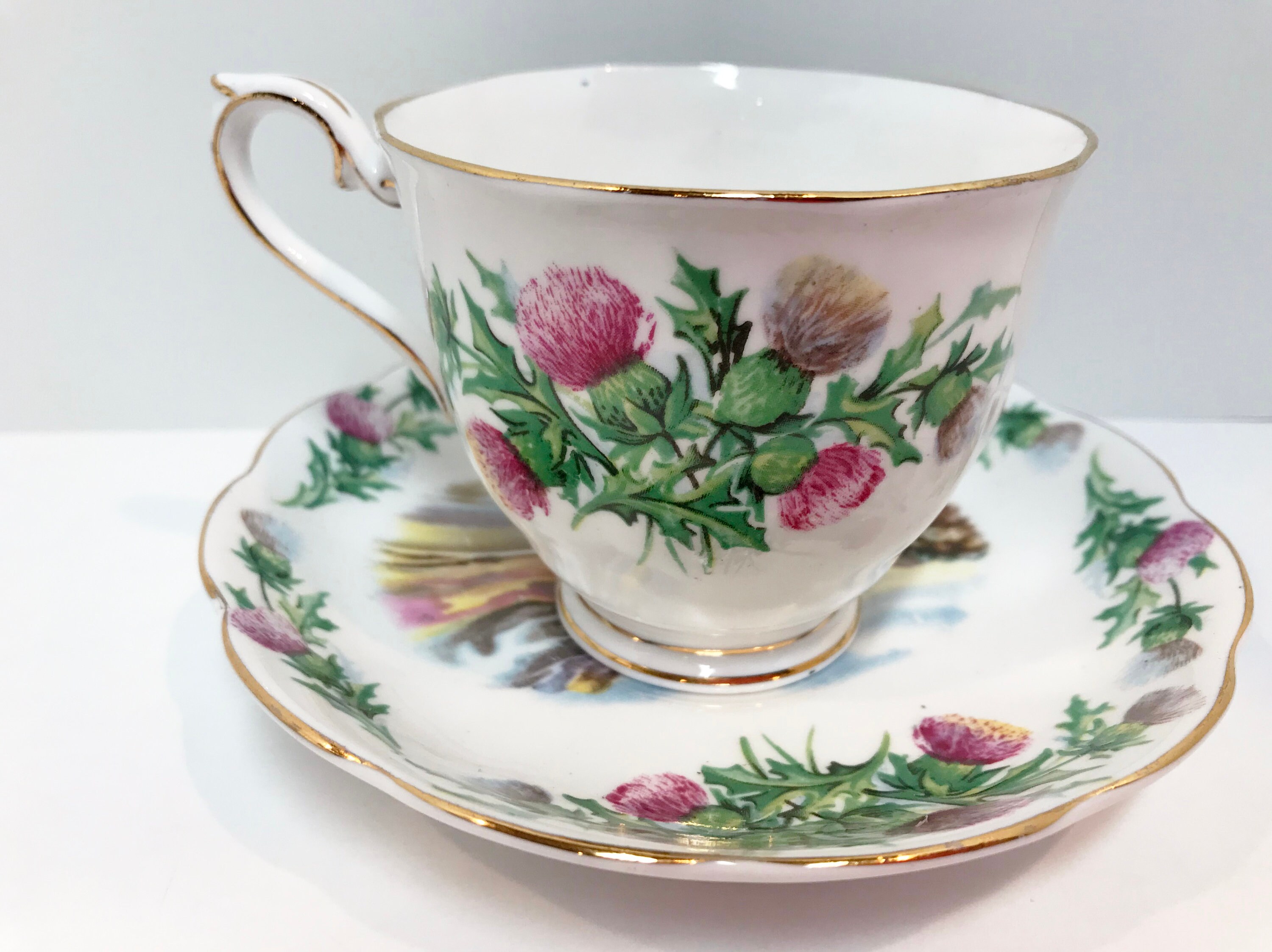 Royal Albert Tea Cup and Saucer, Bonnie Banks O Loch Lomon, Thistle ...