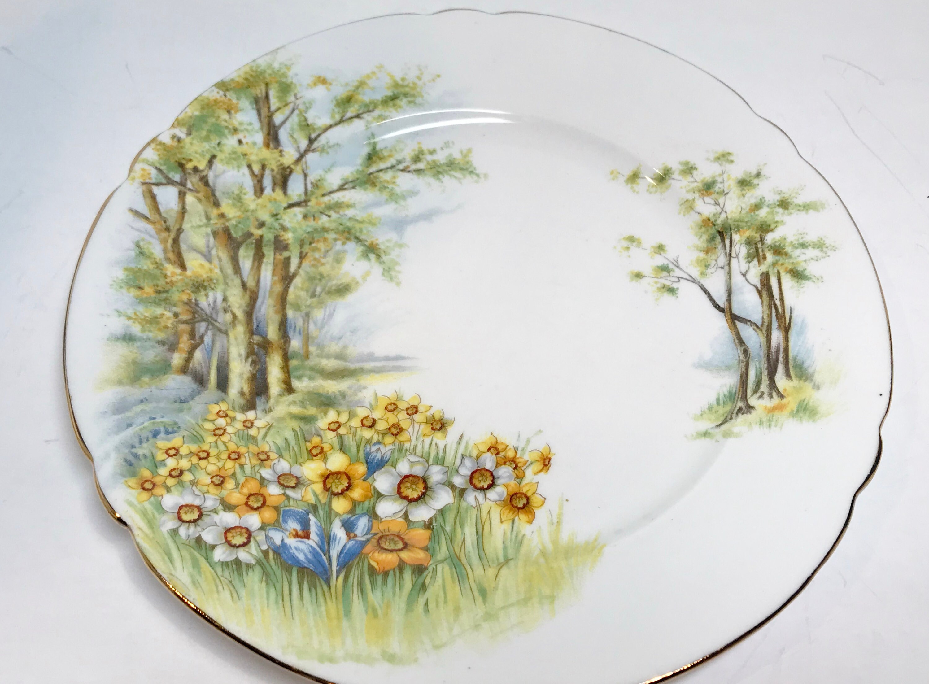 Shelley Plate, Shelley Daffodil Time Plate, Cake Plate, English Bone ...
