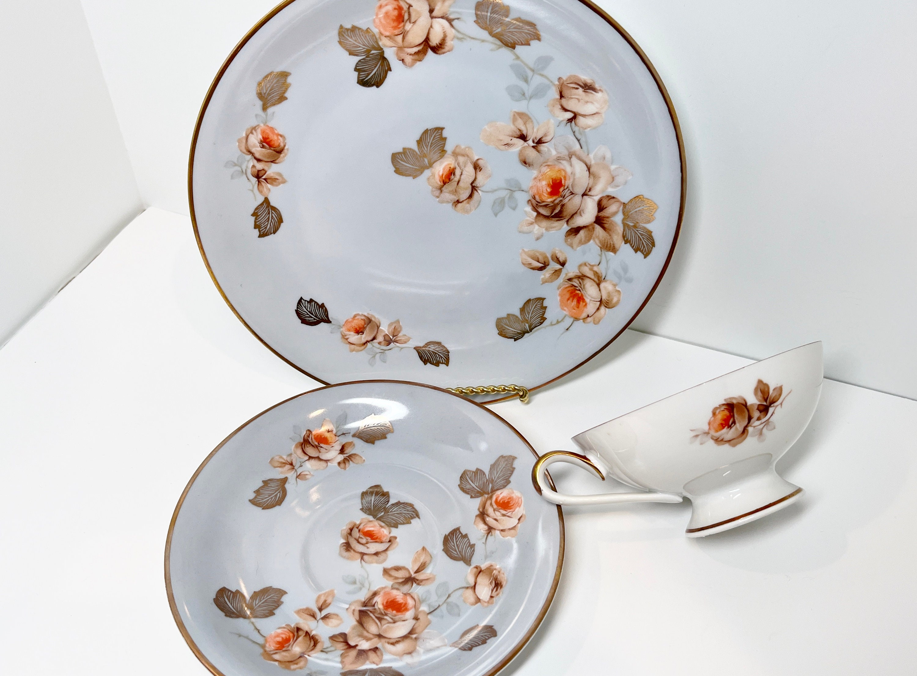 Stellar RWK Teacup and Saucer , Bavarian Tea Cup , Rudolf Wachter ...