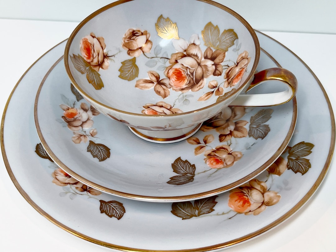 Stellar RWK Teacup and Saucer, Bavarian Tea Cups, Rudolf Wachter ...