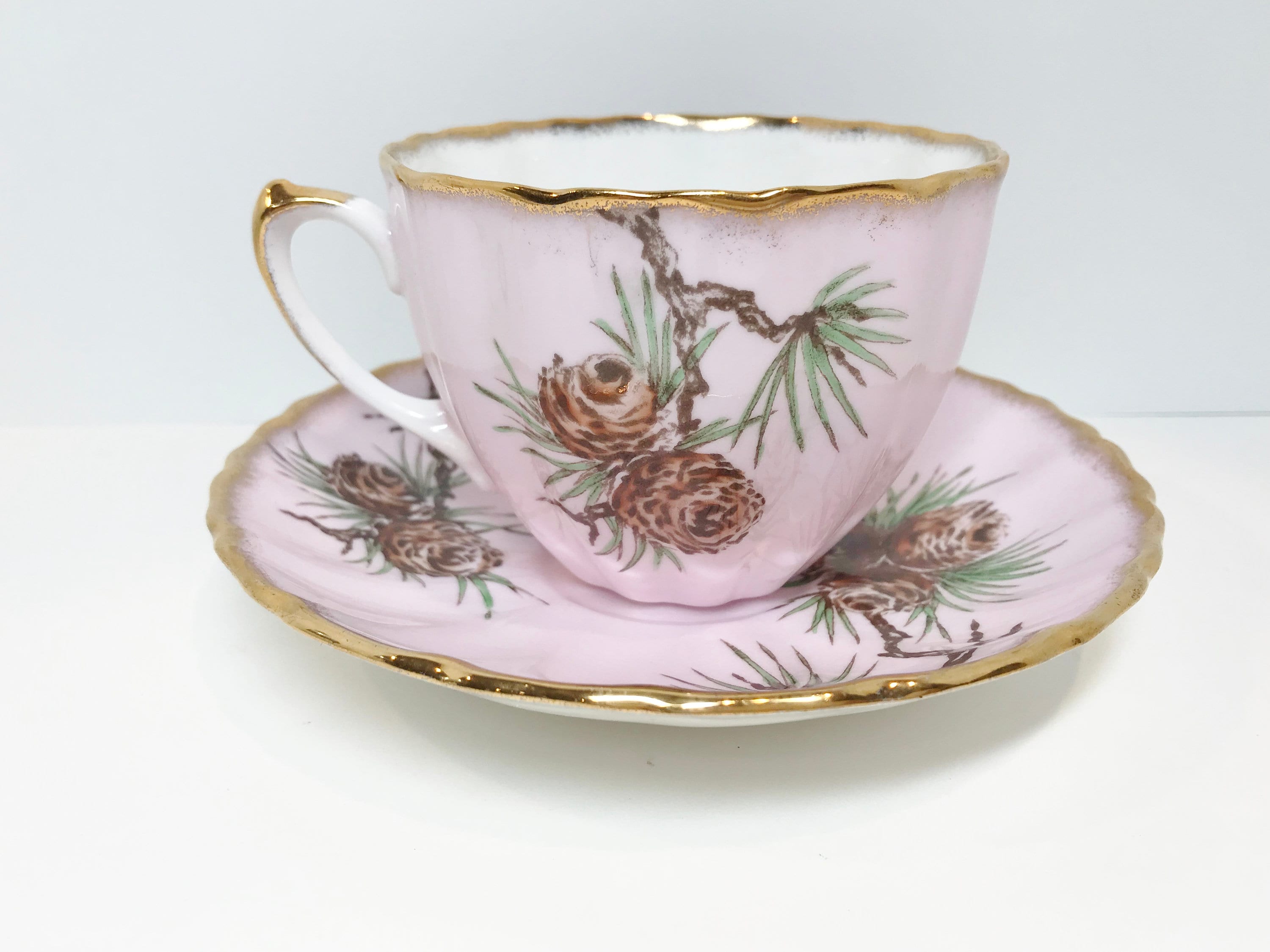 Salisbury Pine Cone Cup and Saucer, English Bone China, Pink Tea Cup ...
