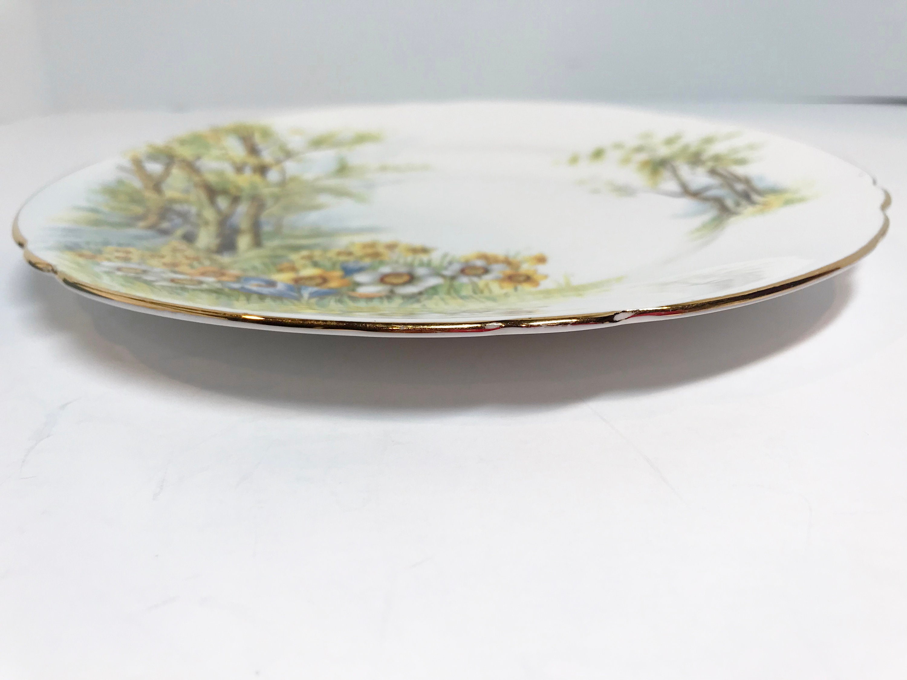 Shelley Plate, Shelley Daffodil Time Plate, Cake Plate, English Bone ...