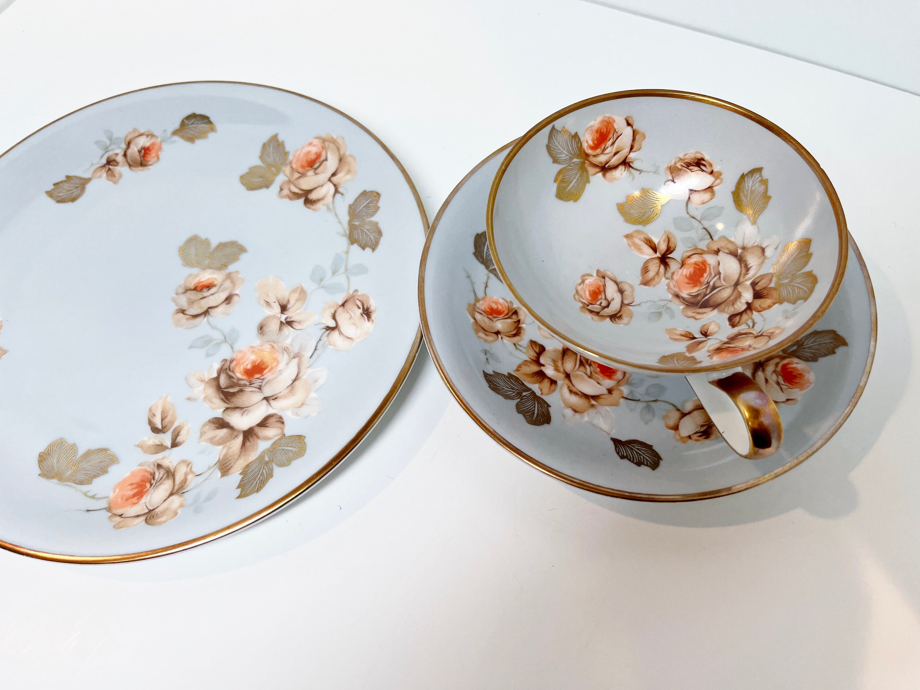 Stellar RWK Teacup and Saucer , Bavarian Tea Cup , Rudolf Wachter ...