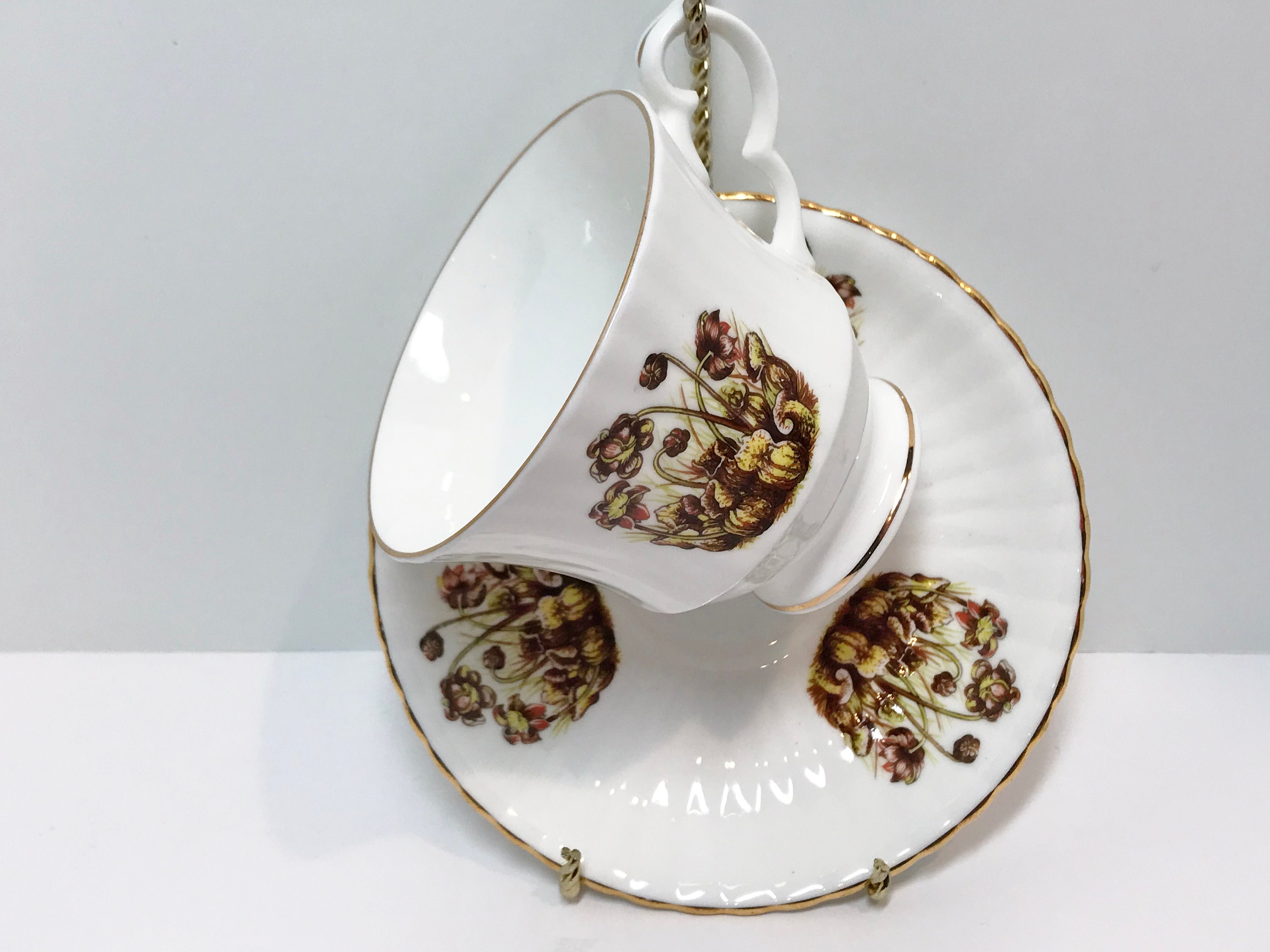 Venus Flytrap Teacup, Pitcher Plant Teacup, Newfoundland Flower ...