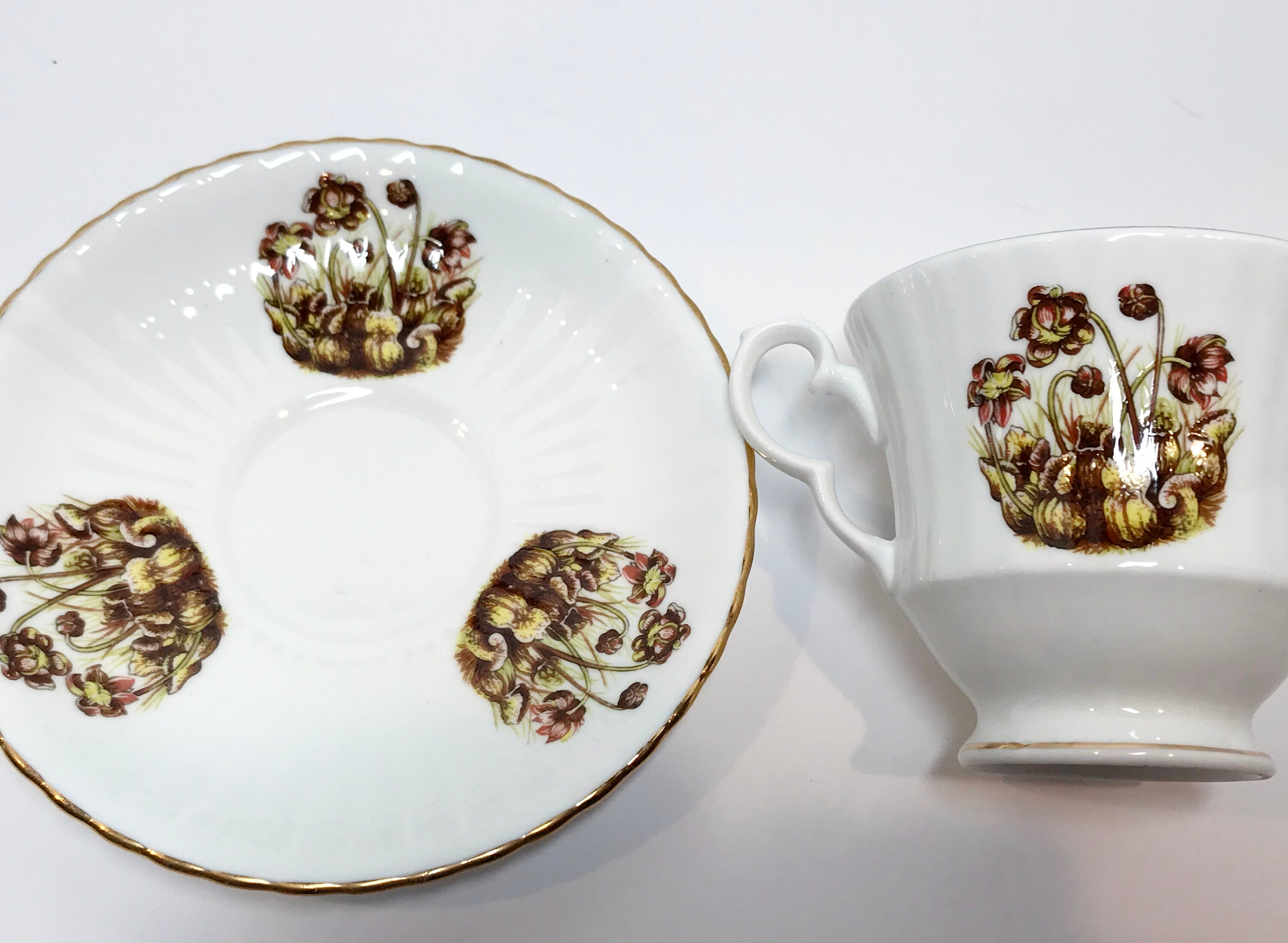 Venus Flytrap Teacup, Pitcher Plant Teacup, Newfoundland Flower ...