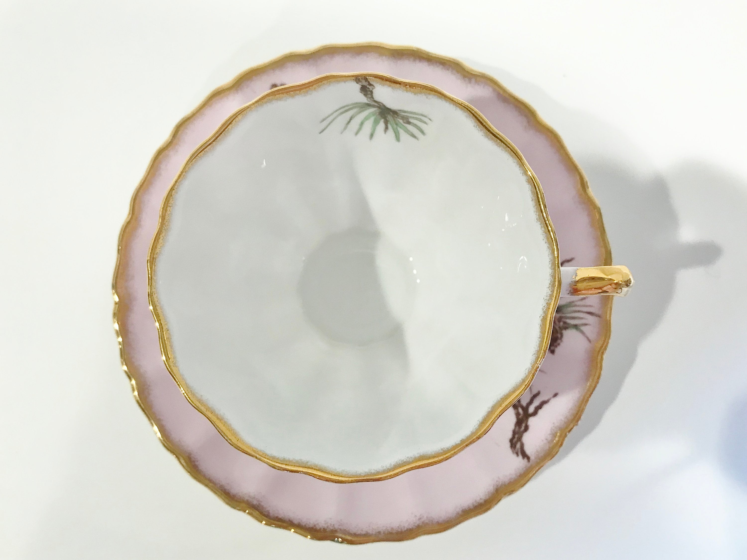 Salisbury Pine Cone Cup and Saucer, English Bone China, Pink Tea Cup ...