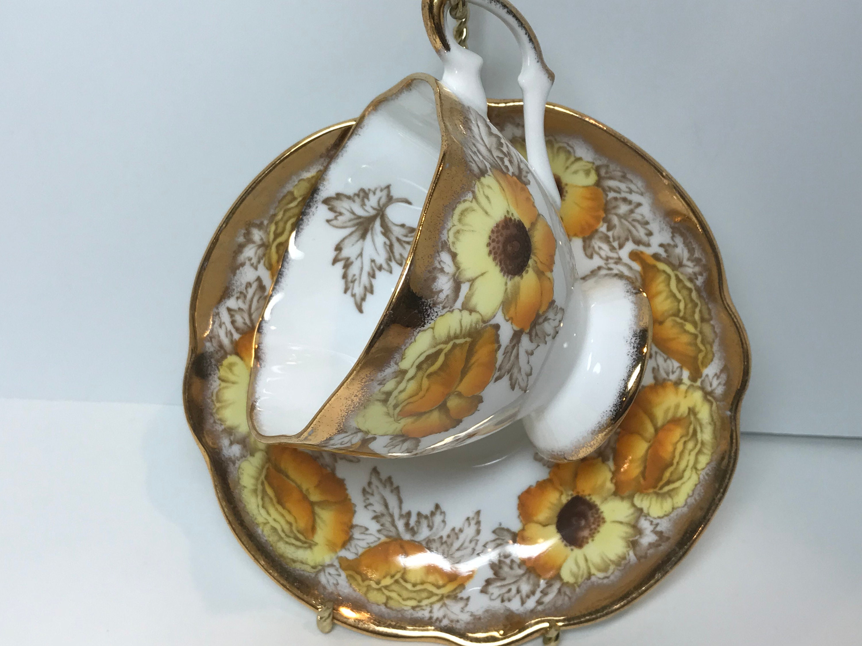 Iceland Poppy Teacup, Salisbury Tea Cup and Saucer, China Tea Cups ...