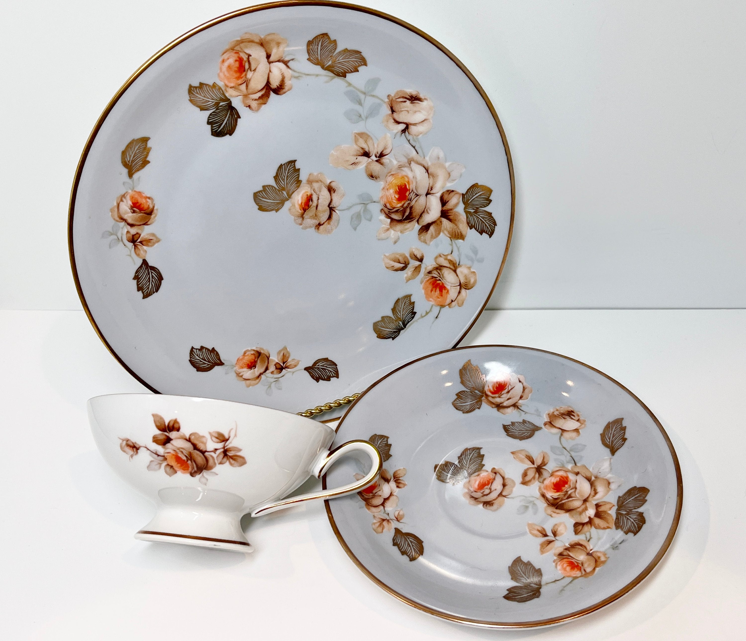 Stellar RWK Teacup and Saucer , Bavarian Tea Cup , Rudolf Wachter ...