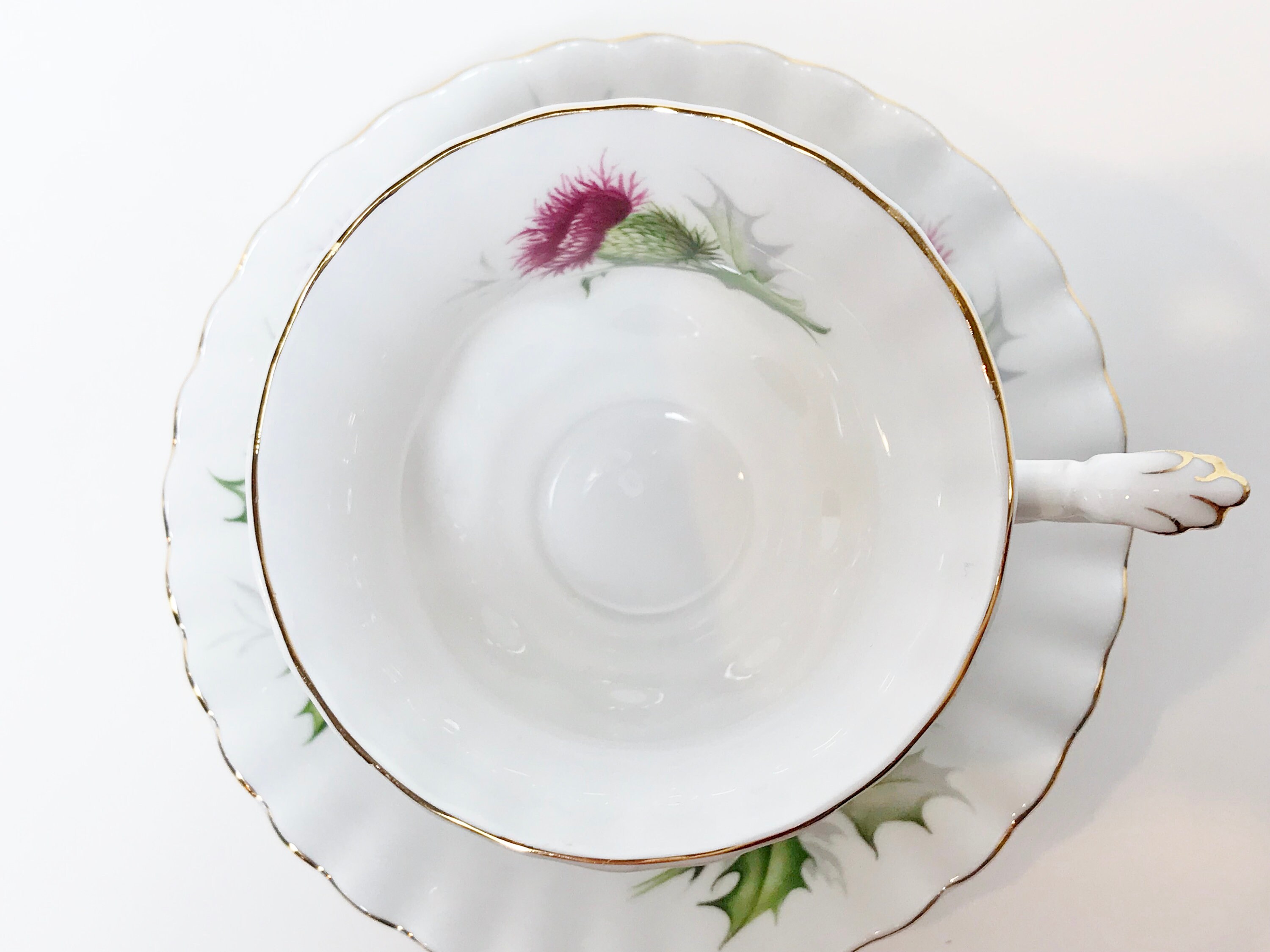 Highland Thistle by Royal Albert, Scottish Tea Cup and Saucer, Scottish ...