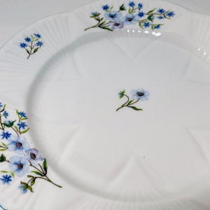 Shelley 8 Inch Plate Blue Rock Pattern Shelley China Floral Plate ...