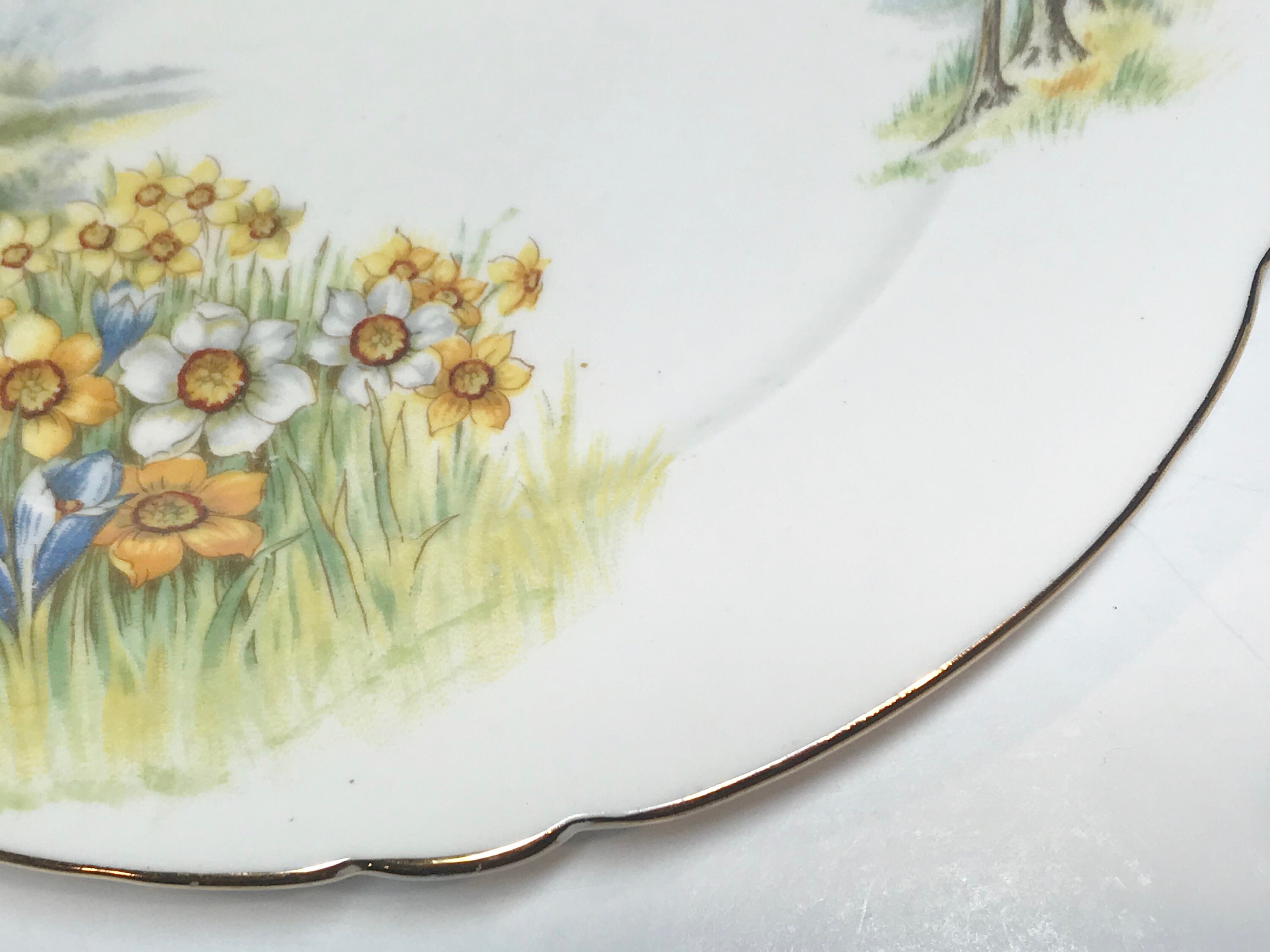 Shelley Plate, Shelley Daffodil Time Plate, Cake Plate, English Bone ...
