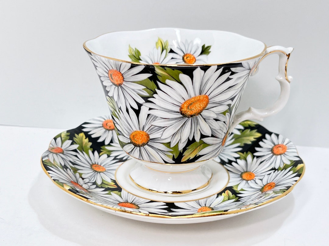 Sylvia by Royal Albert , Daisy Tea Cup and Saucer , Floral Teacup ...