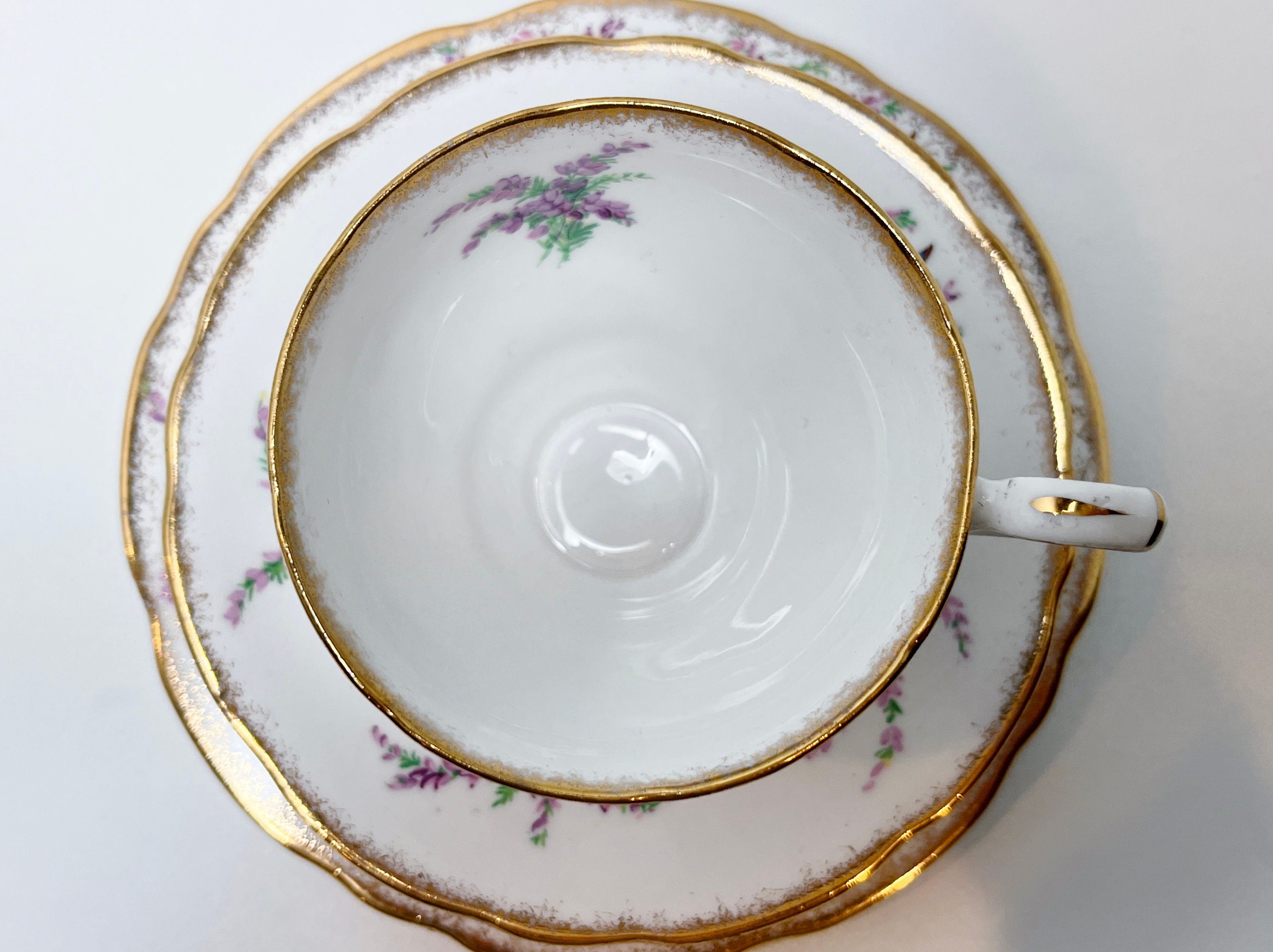 Royal Stuart Clan Teacup Saucer and Plate, Royal Stafford Teacup ...