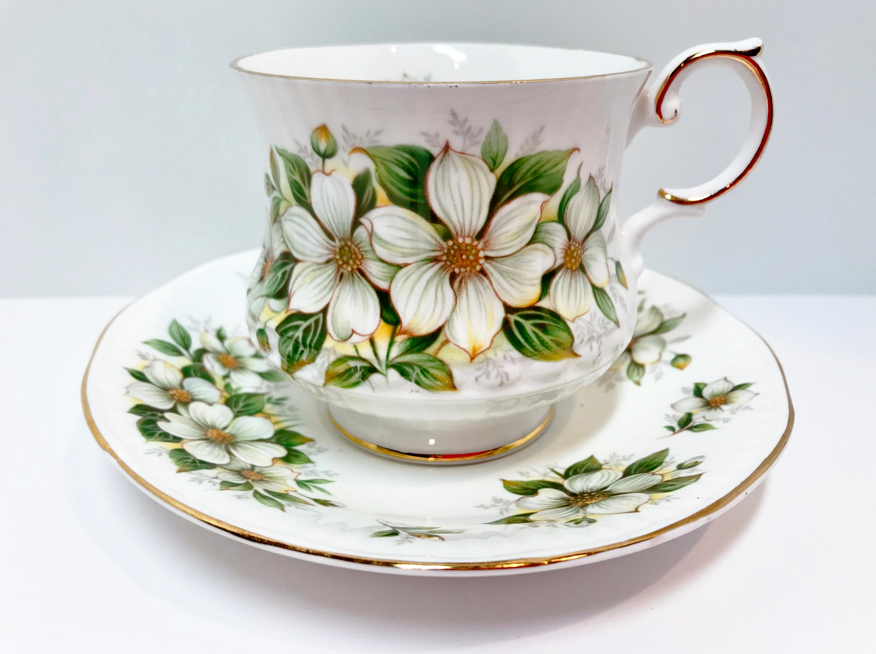 Queens Teacup and Saucer, White Floral Teacups, Vintage Tea Cups ...