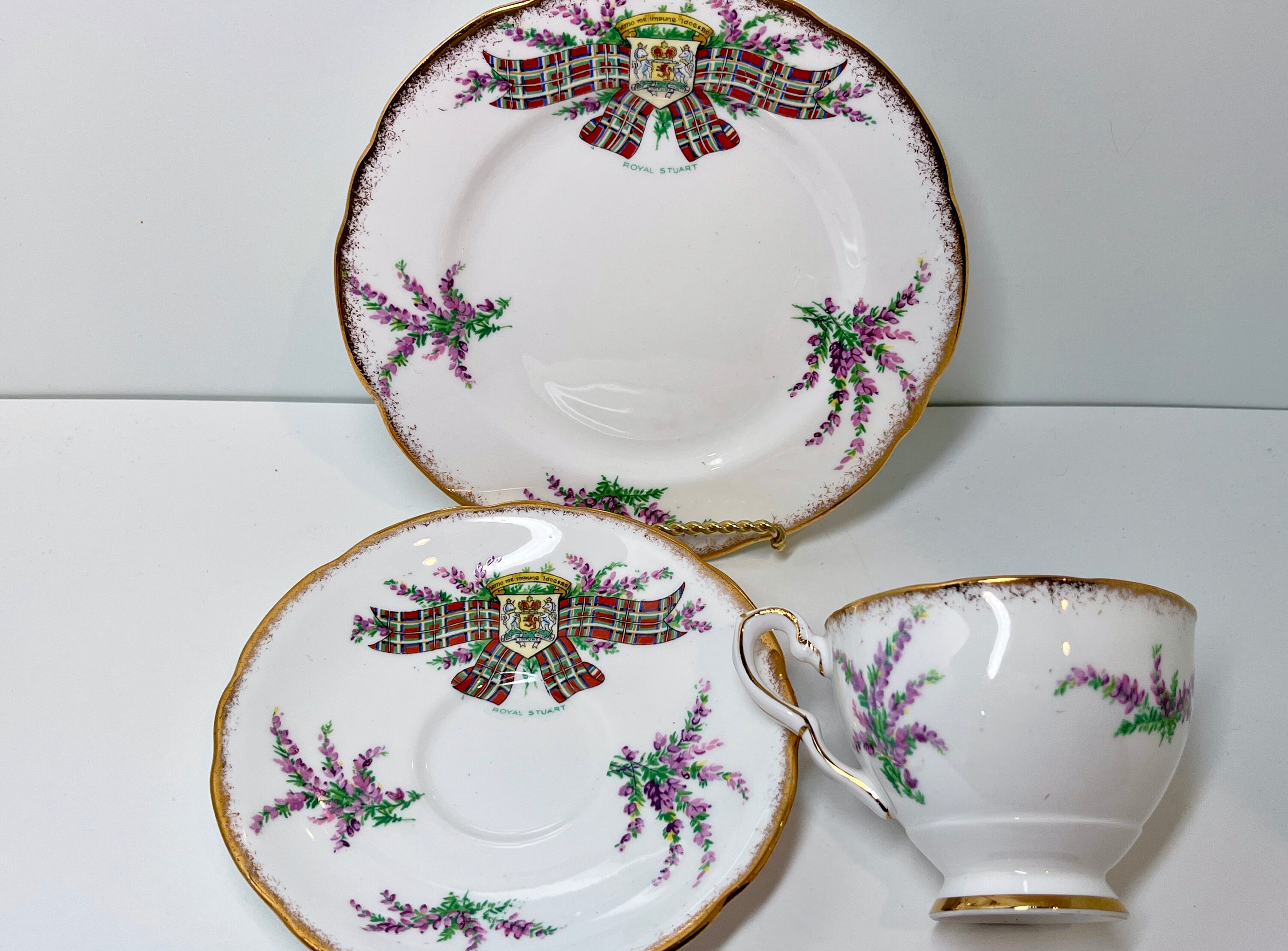 Royal Stuart Clan Teacup Saucer and Plate, Royal Stafford Teacup ...
