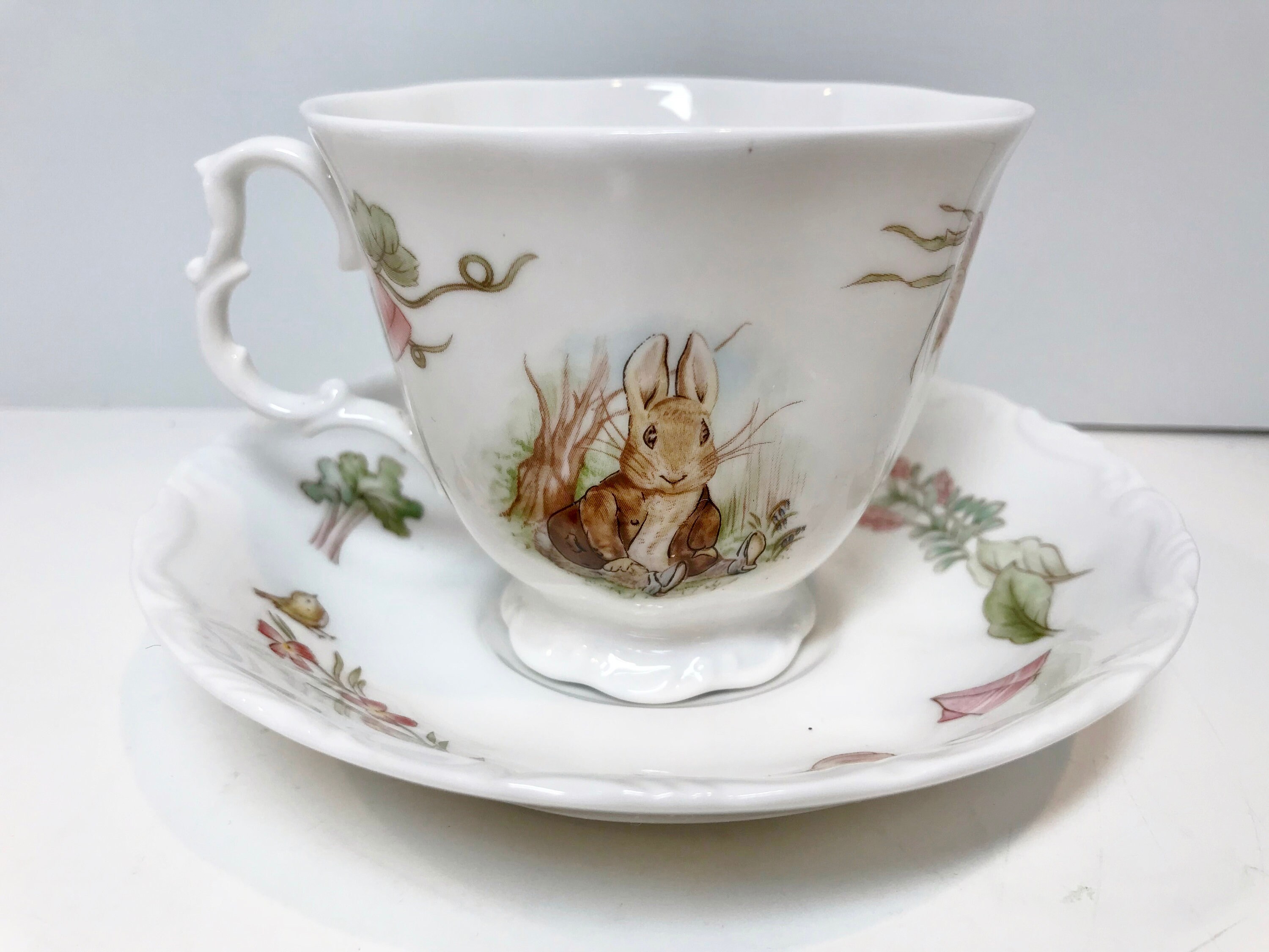 Beatrix Potter, Benjamin Bunny, Royal Albert Tea Cup and Saucer ...