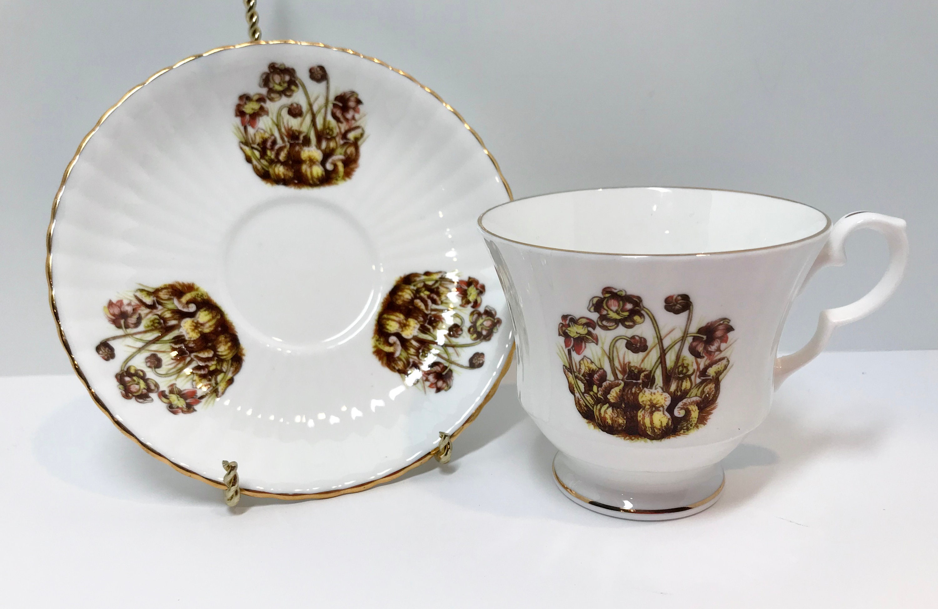 Venus Flytrap Teacup, Pitcher Plant Teacup, Newfoundland Flower ...